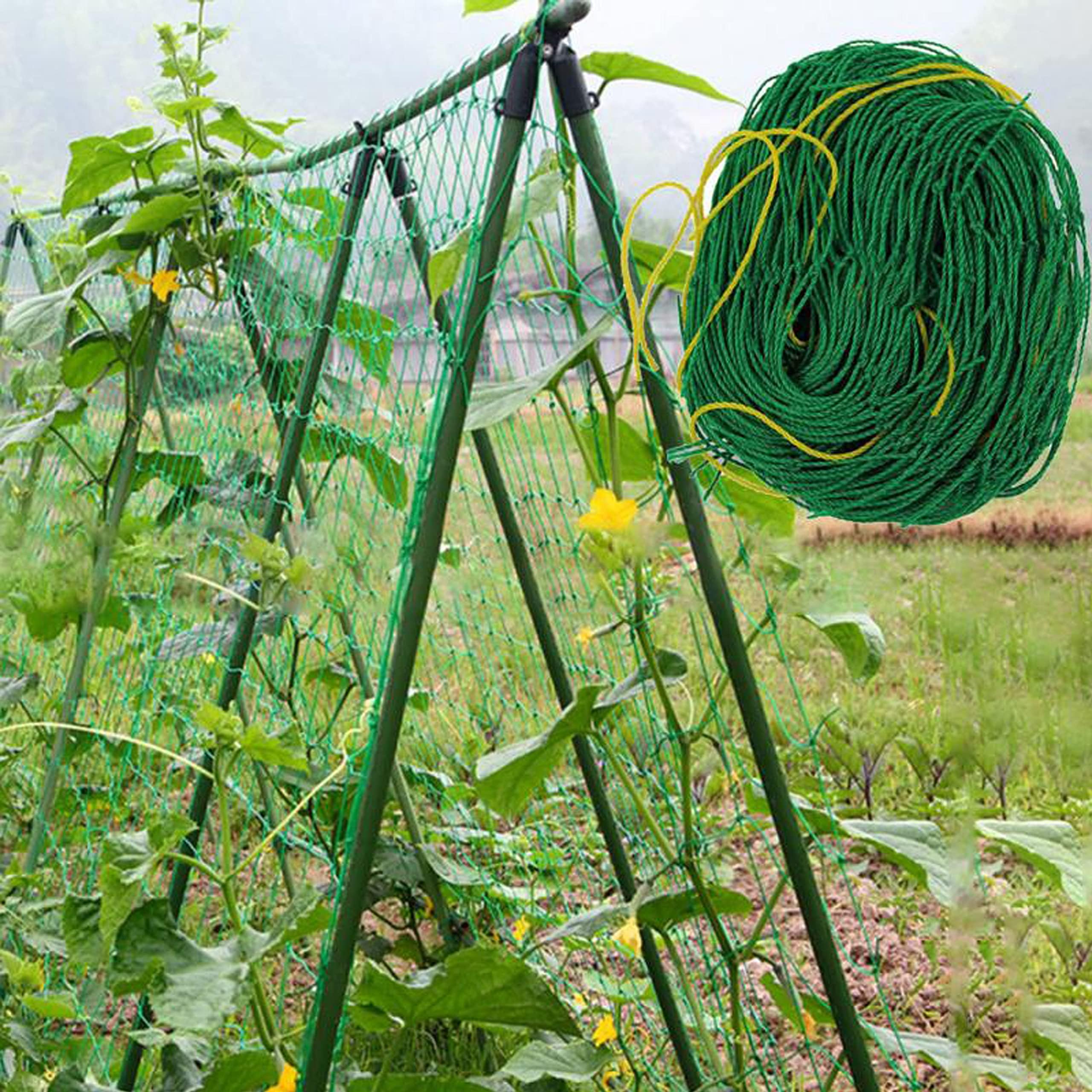 Amazon.com : WNE Jaliwale Size - 5Ft x 15ft Green Color Plant Climbing ...