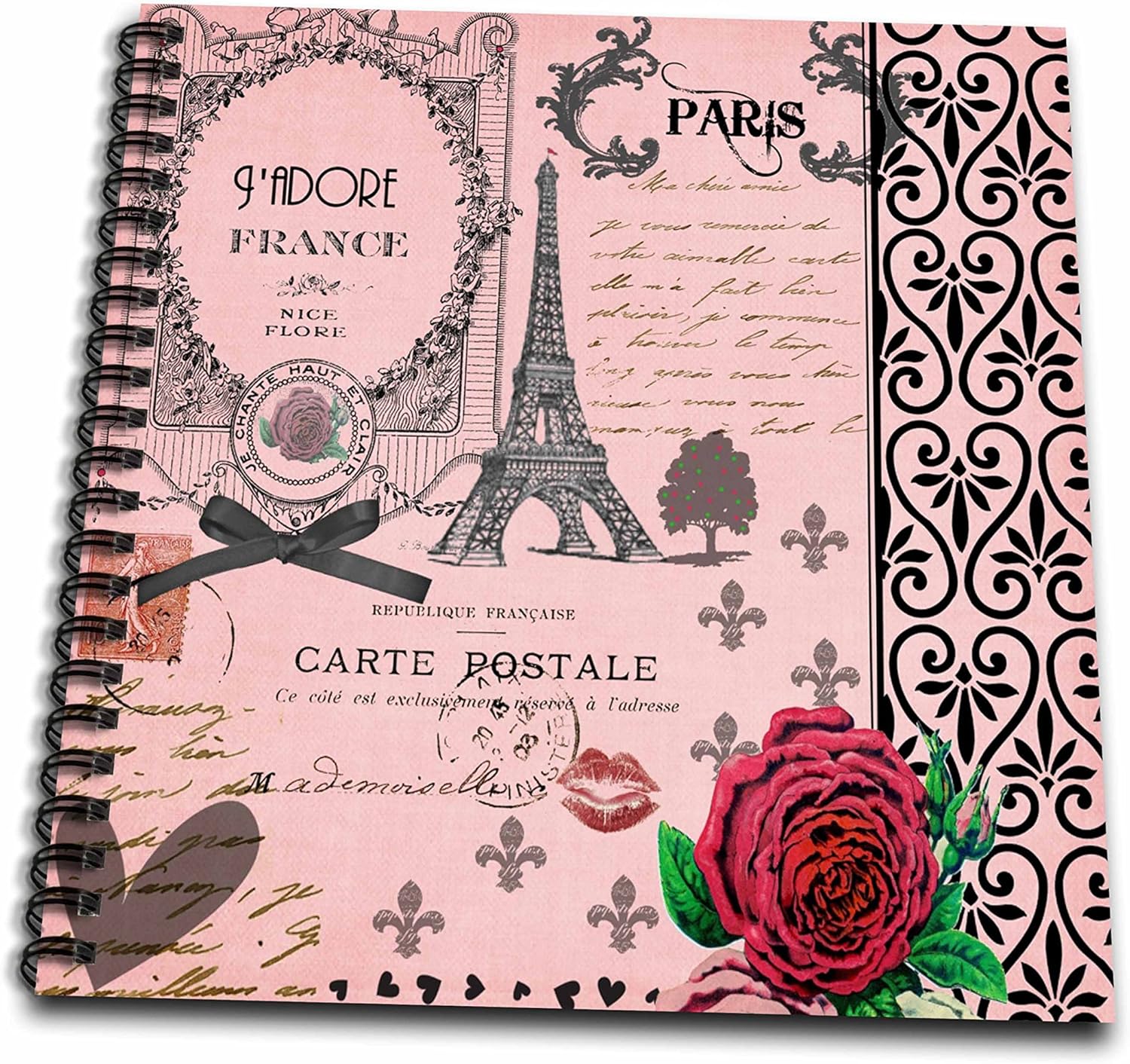 Amazon.com: 3dRose db_76593_1 Stylish Vintage Pink Paris Collage Art ...
