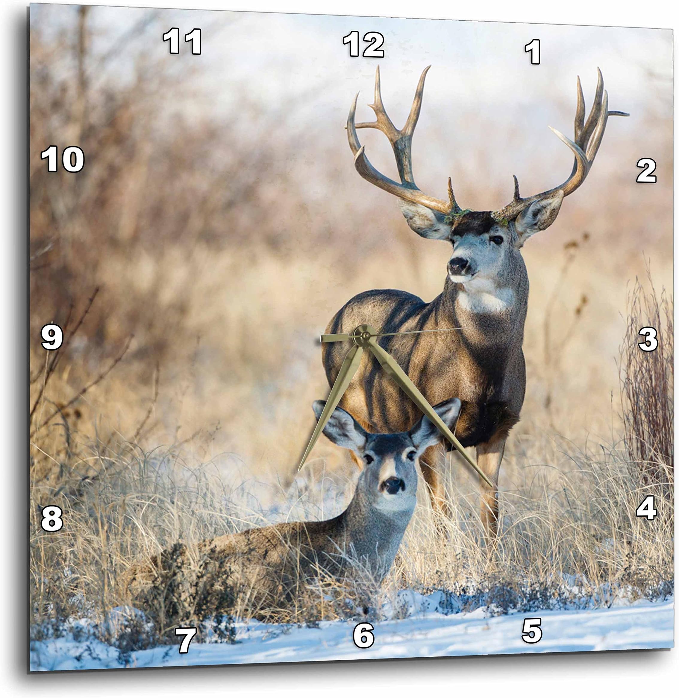 Amazon.com: Bedford Clock Collection Wall Clock, Walnut Brown : Home ...