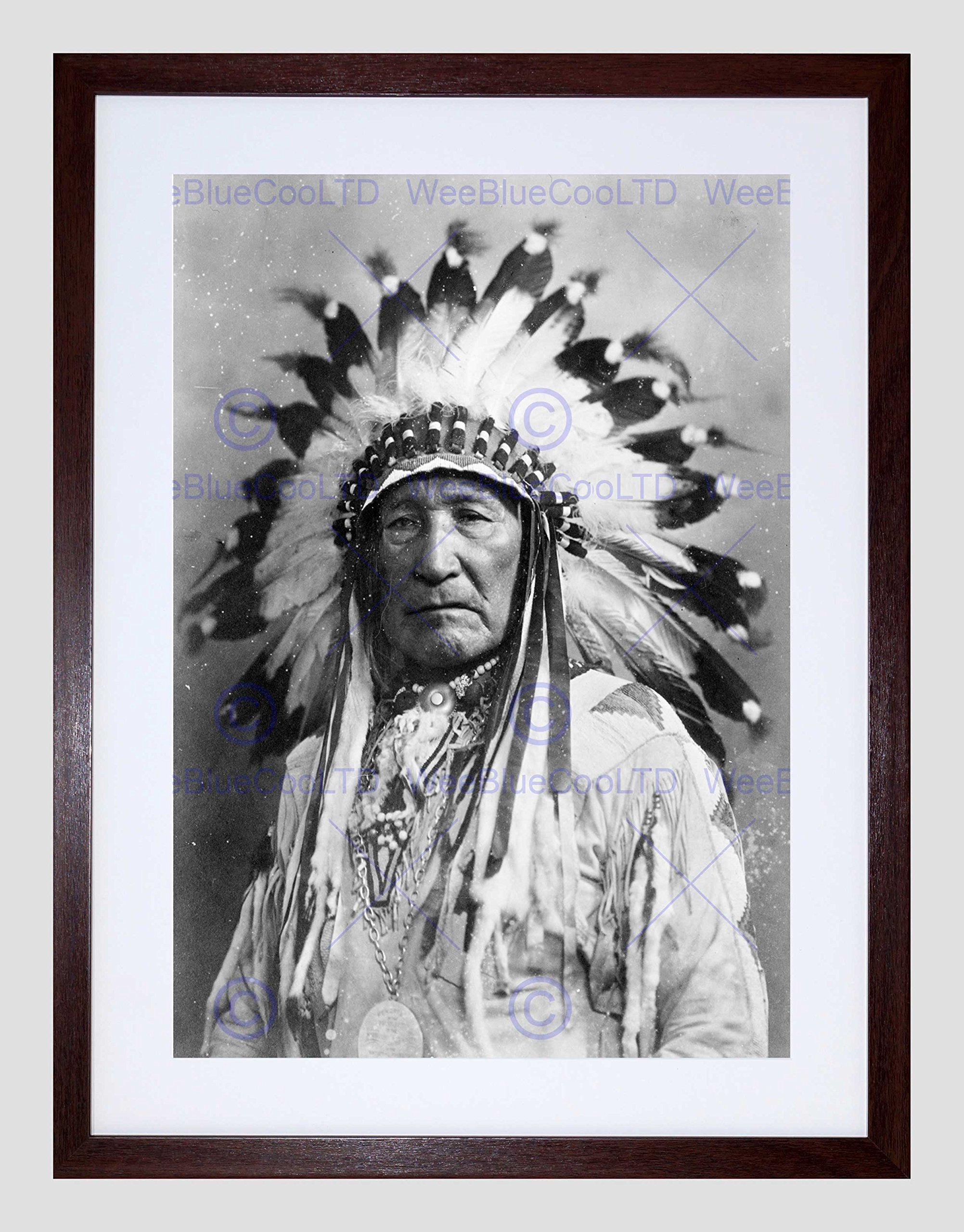 Famous Native American Chief Paintings