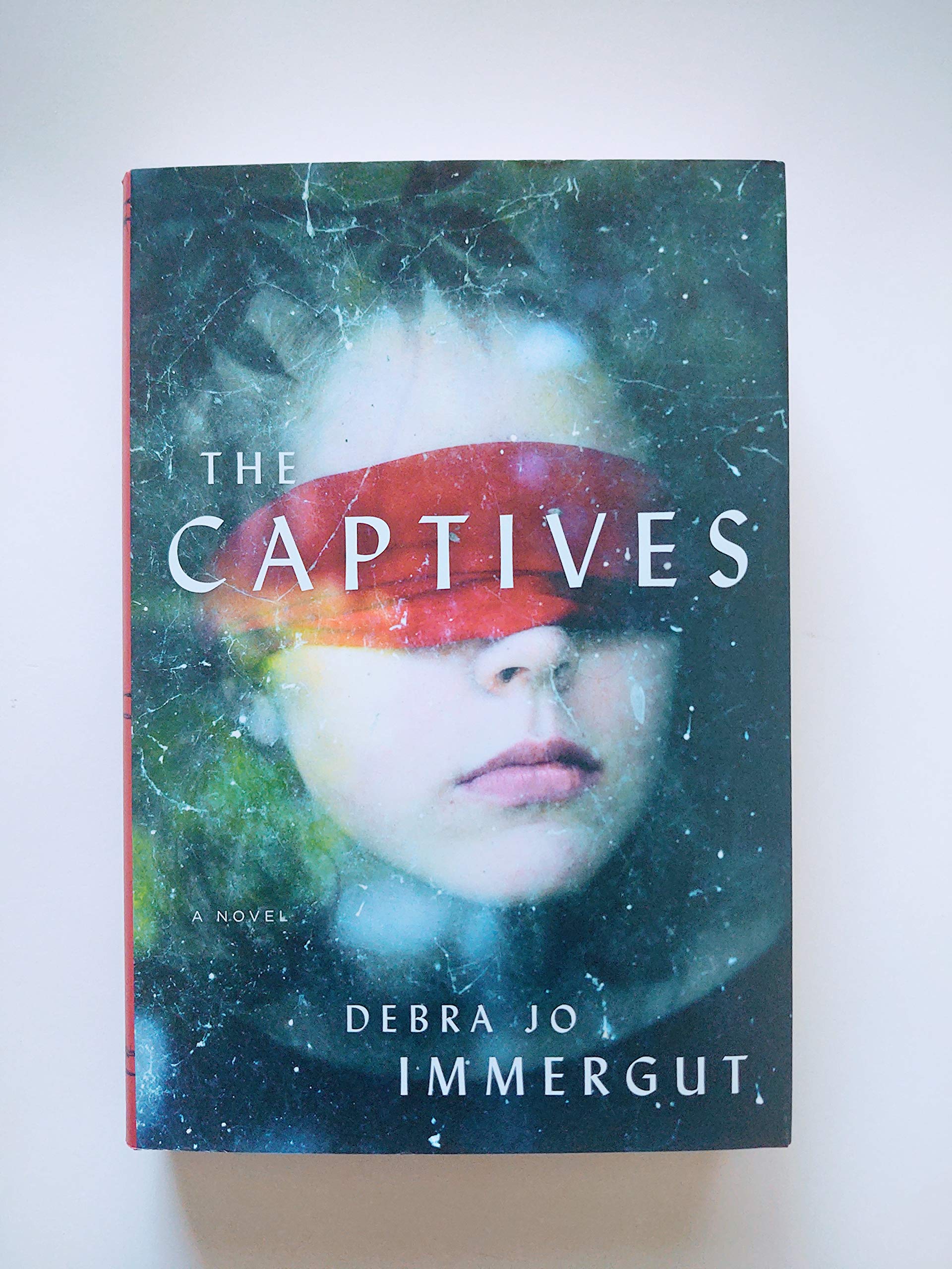 Amazon.com: The Captives: A Novel: 9780062747549: Immergut, Debra Jo: Books