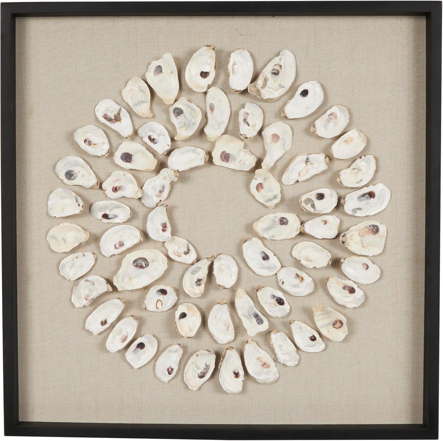 Amazon.com: Deco 79 Shell Shell Handmade Home Wall Decor Abstract ...