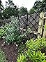 Amazon.com : Giant Trellis, 108” high (9’ Tall) by 28” Wide Trellis ...