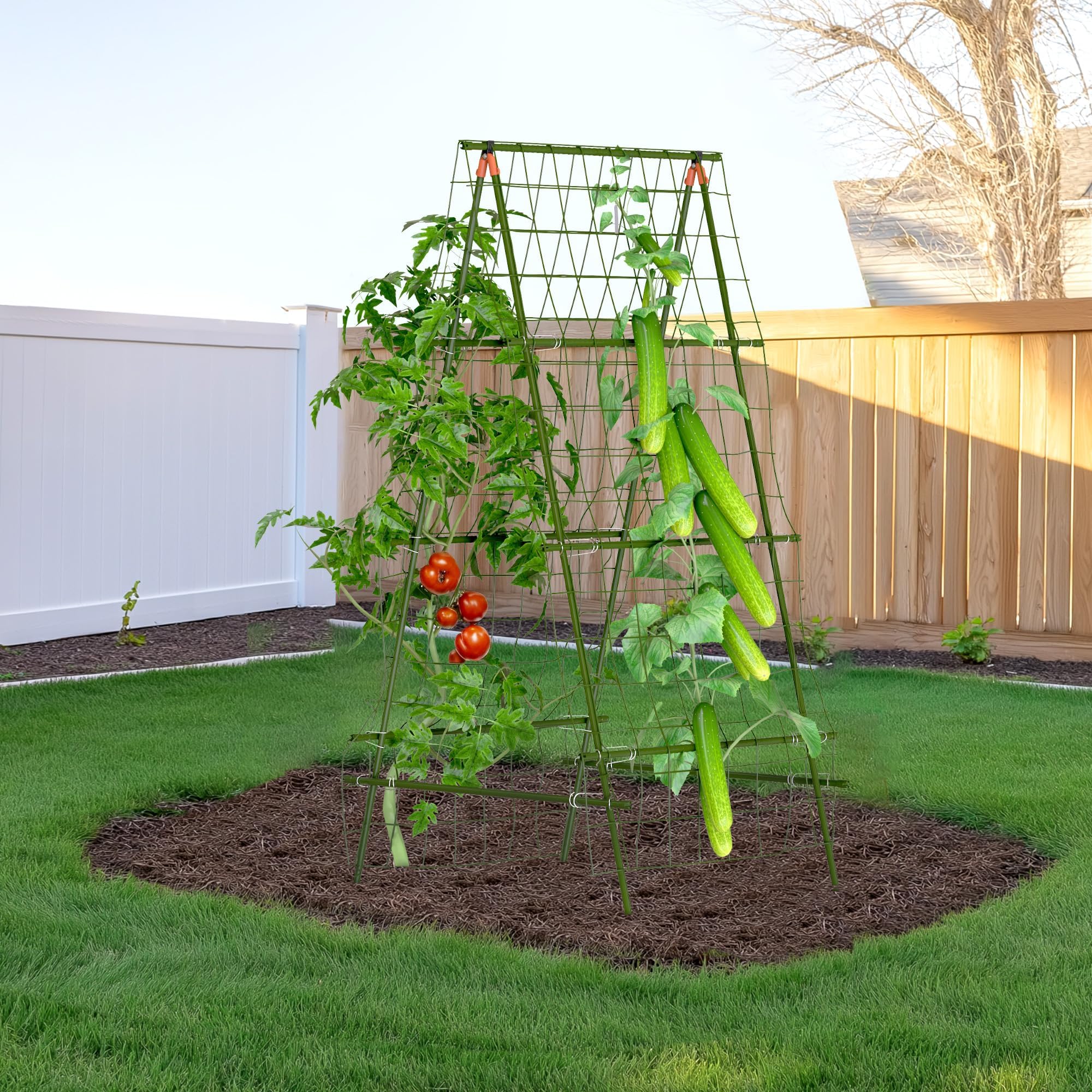 Amazon.com : FOLLOOK Garden Cucumber Trellis for Climbing Plants ...