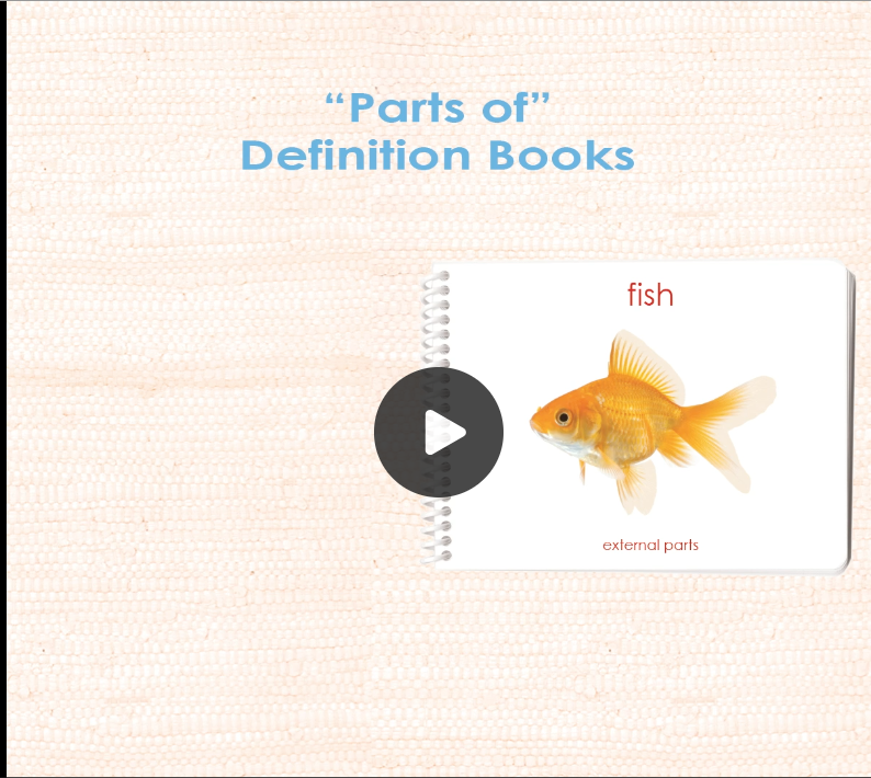 Fish External Anatomy Science Ichthyology External Anatomy Fish