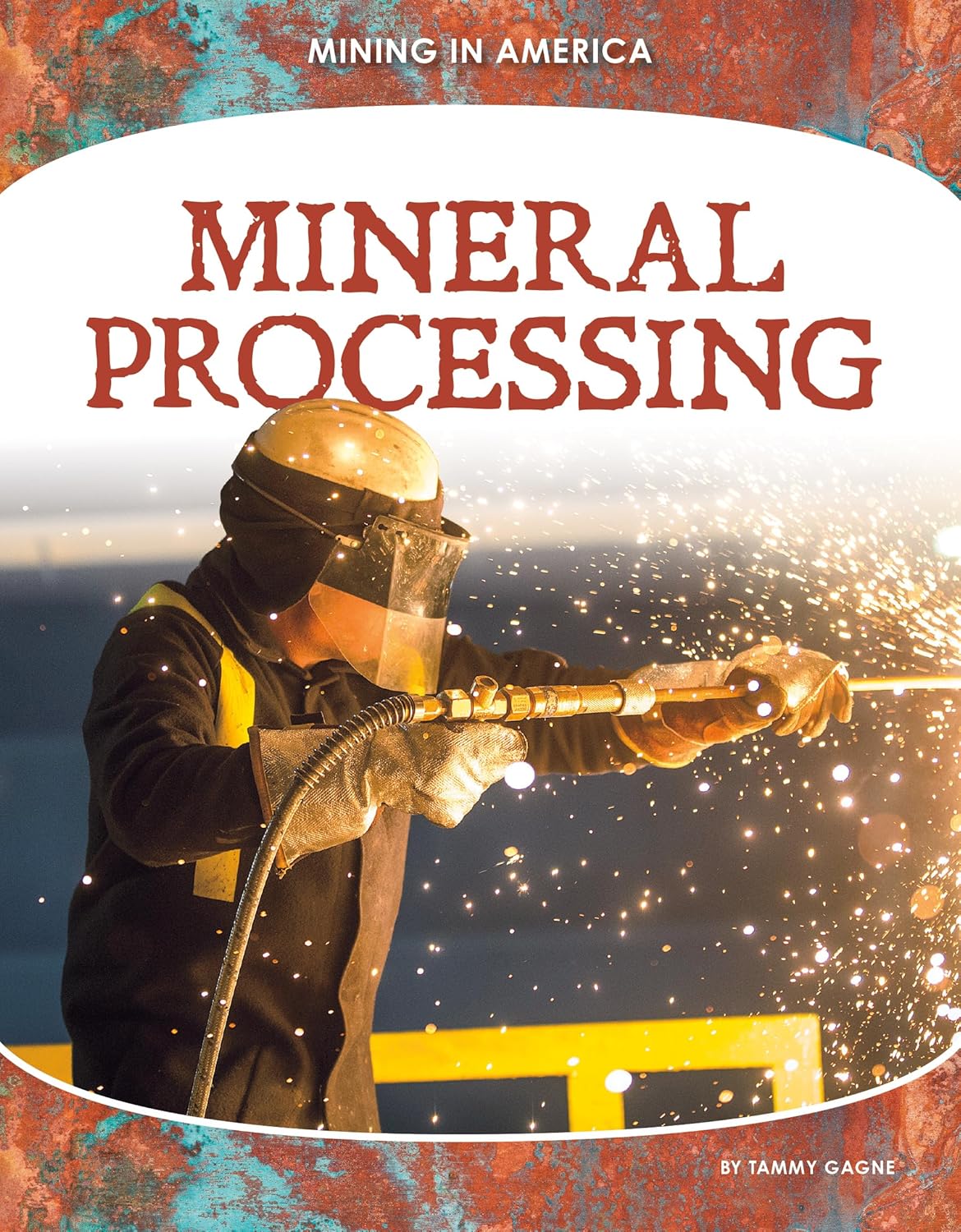 Mineral Processing (Mining in America): Gagne, Tammy: 9781098290955 ...