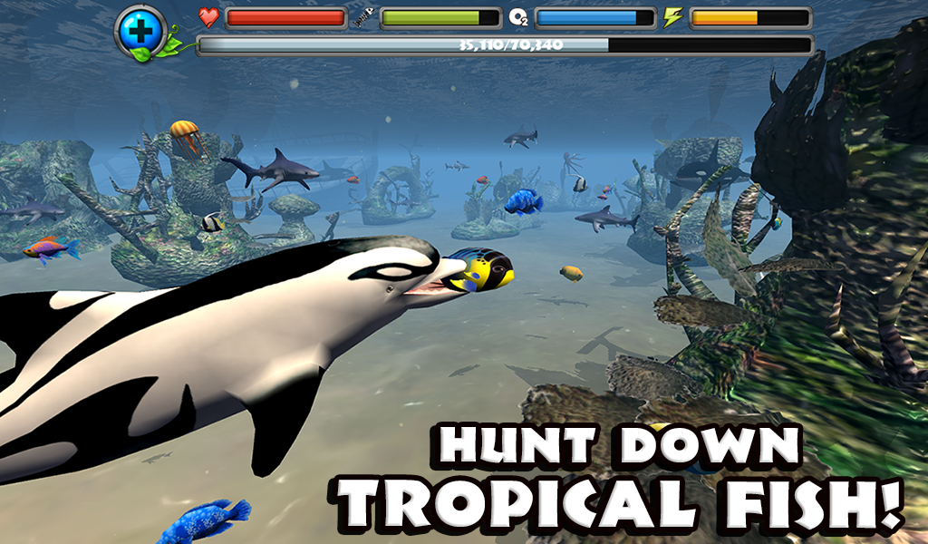 Dolphin Simulator - App on Amazon Appstore
