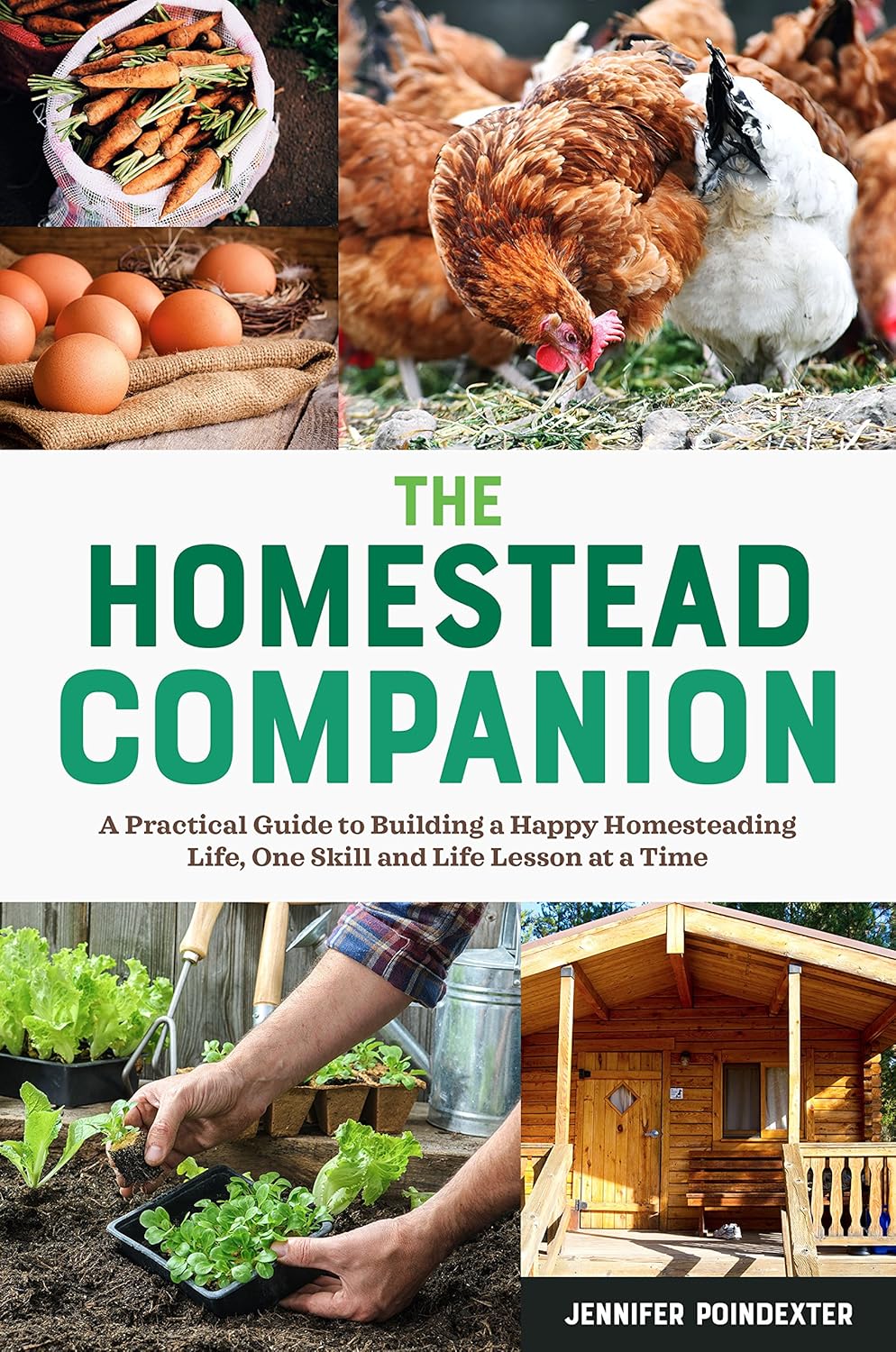 The Homestead Companion: A Practical Guide to Building a Happy ...