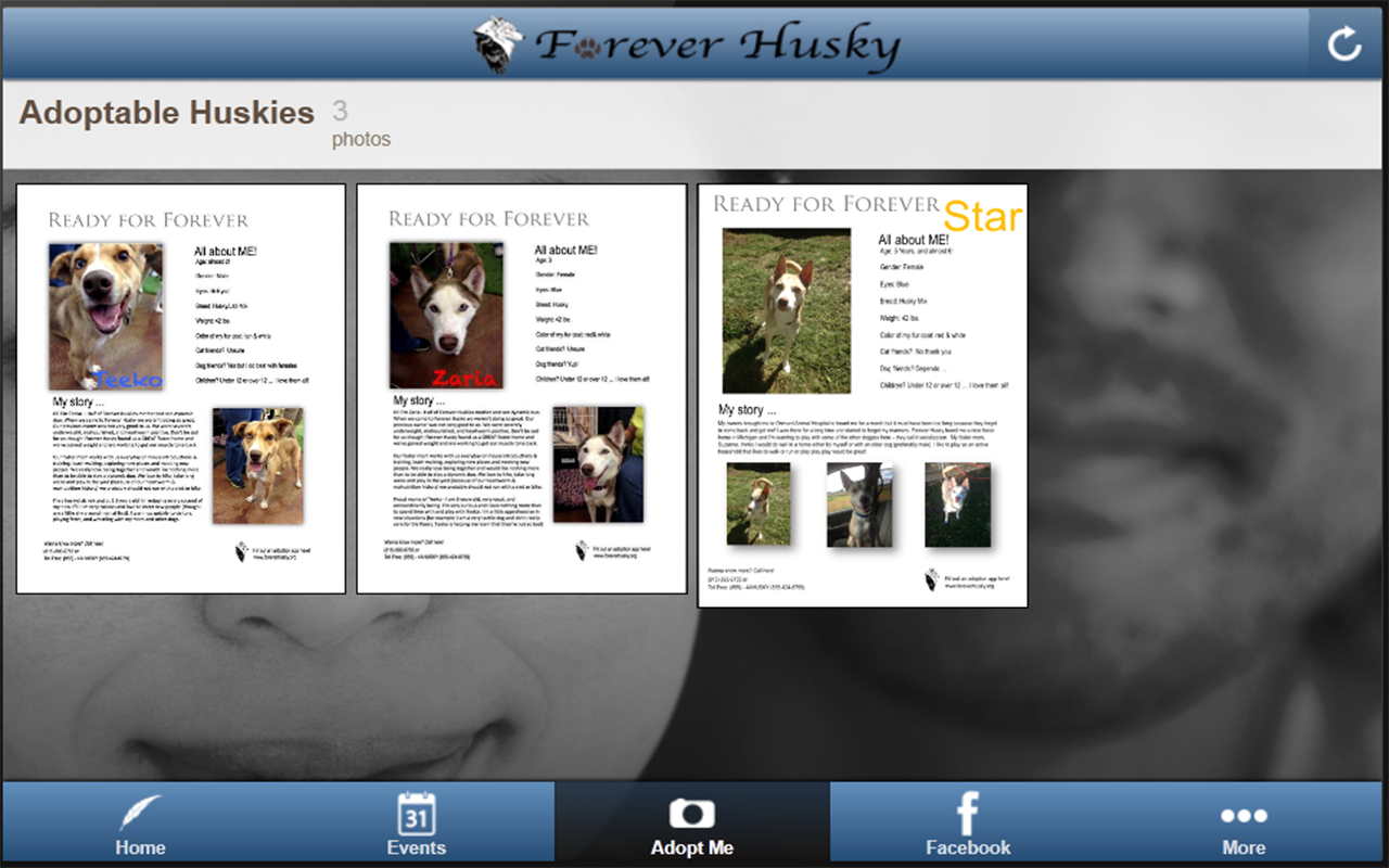 Forever Husky - App on Amazon Appstore
