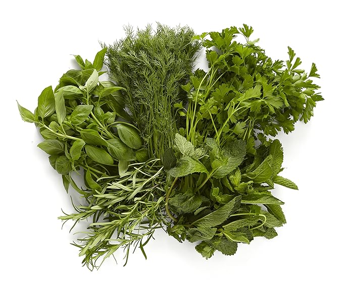 Amazon.com: Farmers Market Garden Herb Bundle : Patio, Lawn & Garden