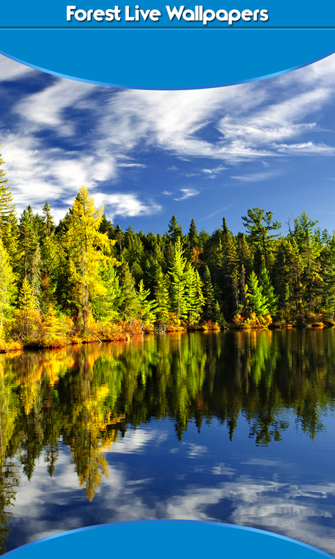 Forest Live Wallpapers - App on Amazon Appstore