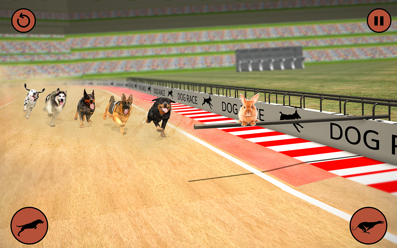 Dog Racing Games: Dog Games, Virtual Pet Puppy Simulator Game, Dog ...