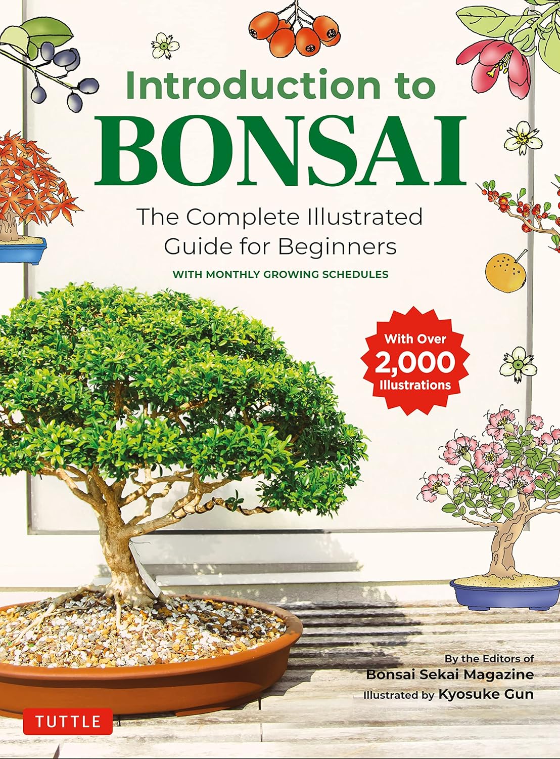 Amazon.fr - Introduction to Bonsai: The Complete Illustrated Guide for ...
