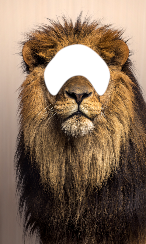 Animal Photo Montage - App on Amazon Appstore