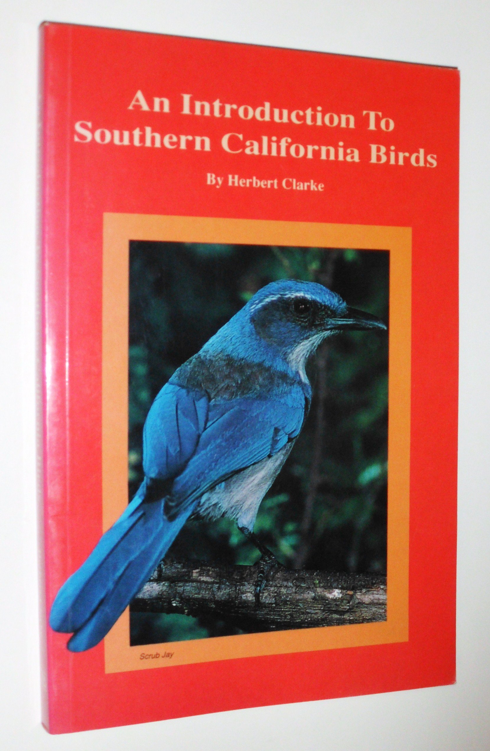 An Introduction to Southern California Birds: Clarke, Herbert ...