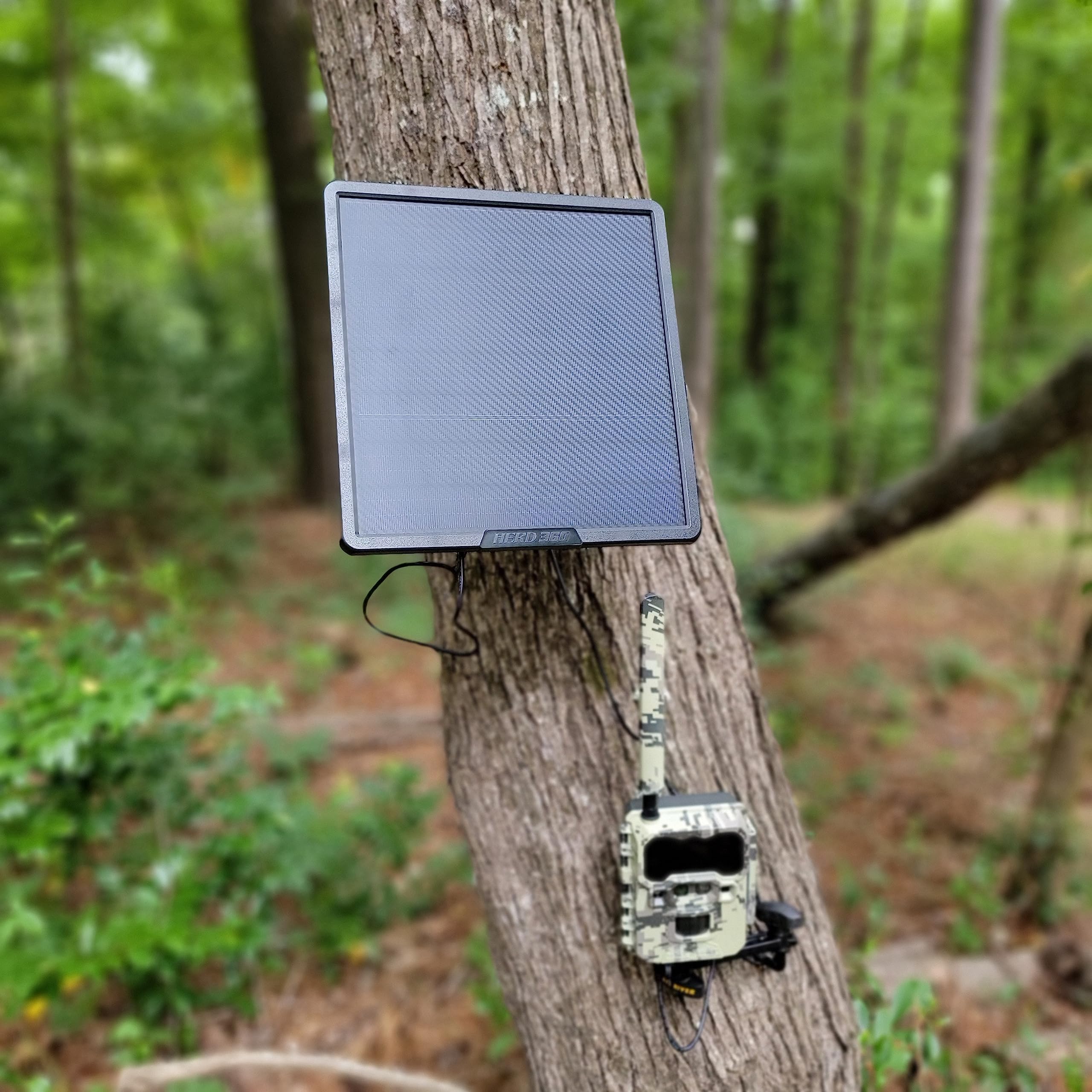 Solar Camera Trail Camera Solar Panel, 5000Mah Built-In Battery, 12V/1A ...