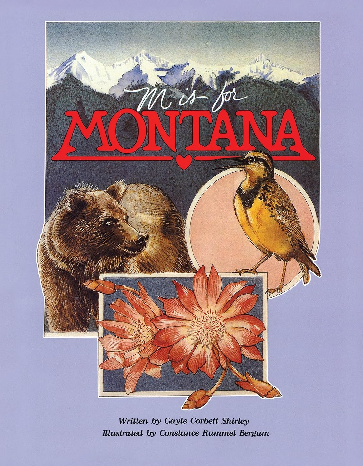 M Is for Montana (ABC Series): Shirley, Gayle: 9780937959329: Amazon ...