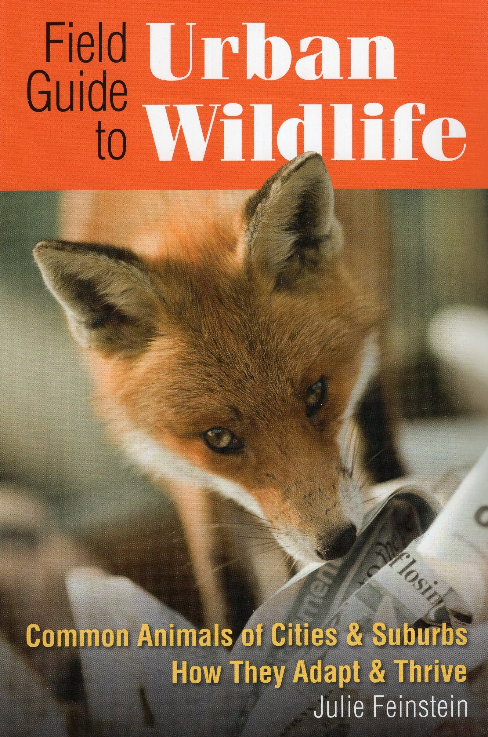 Field Guide to Urban Wildlife: Common Animals of Cities & Suburbs How ...
