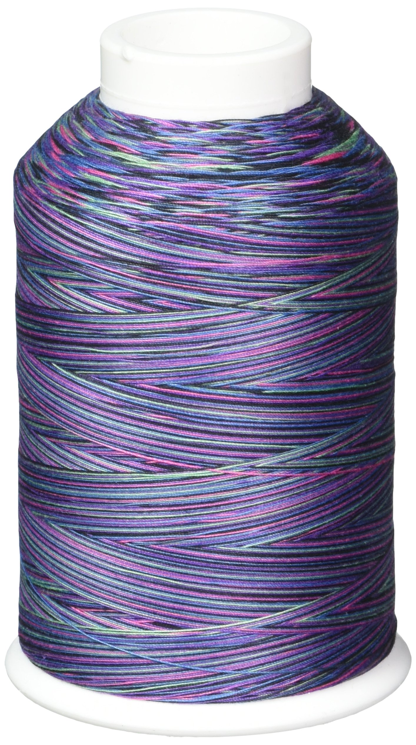 Amazon.com: YLI 2443012V 3-Ply Machine Cotton Quilting Variegated ...