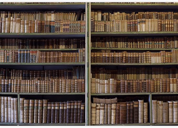 Amazon.com: wall26 - Historic Old Books in Ancient Library, Wooden ...
