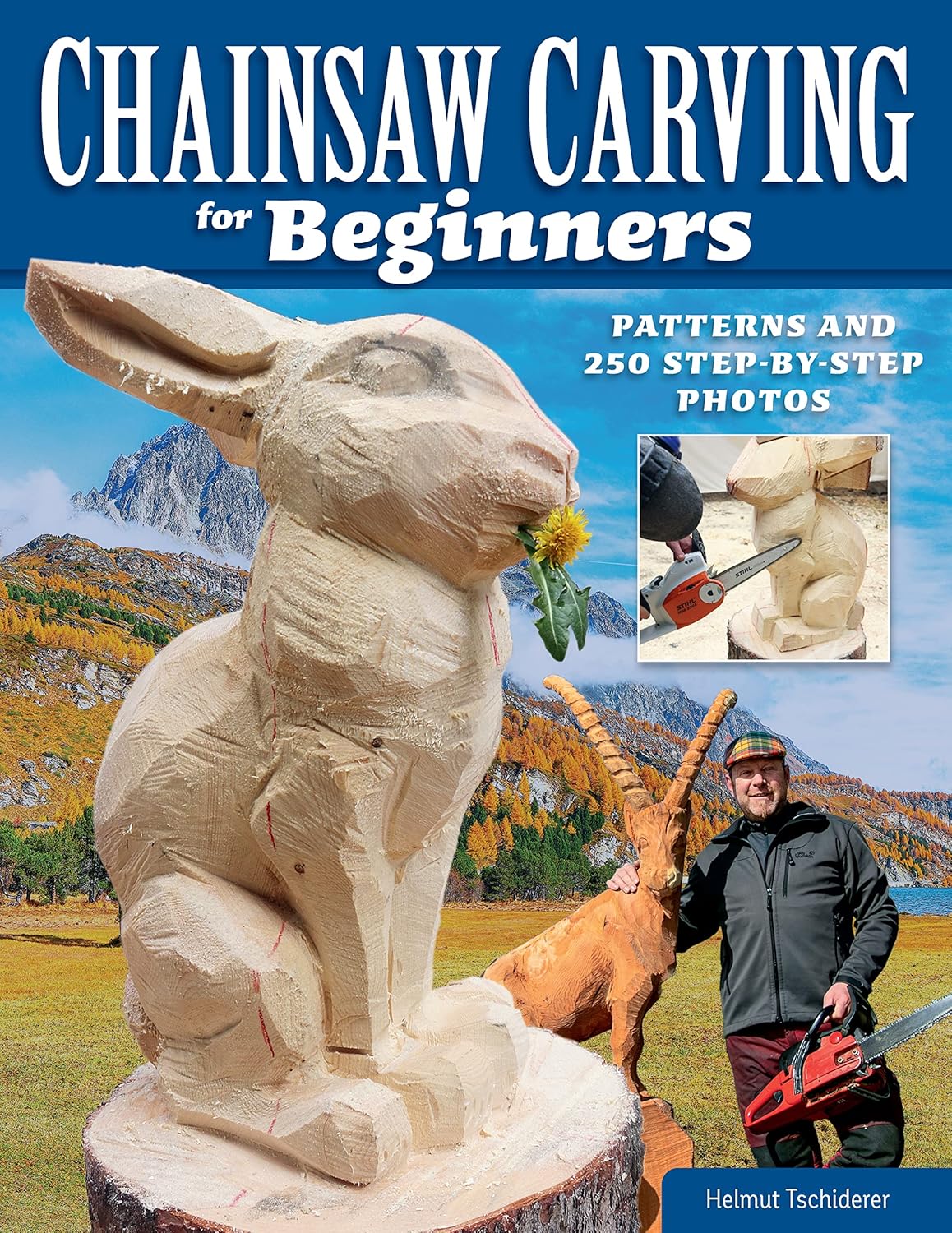 Chainsaw Carving for Beginners: Patterns and 250 Step-by-Step Photos ...