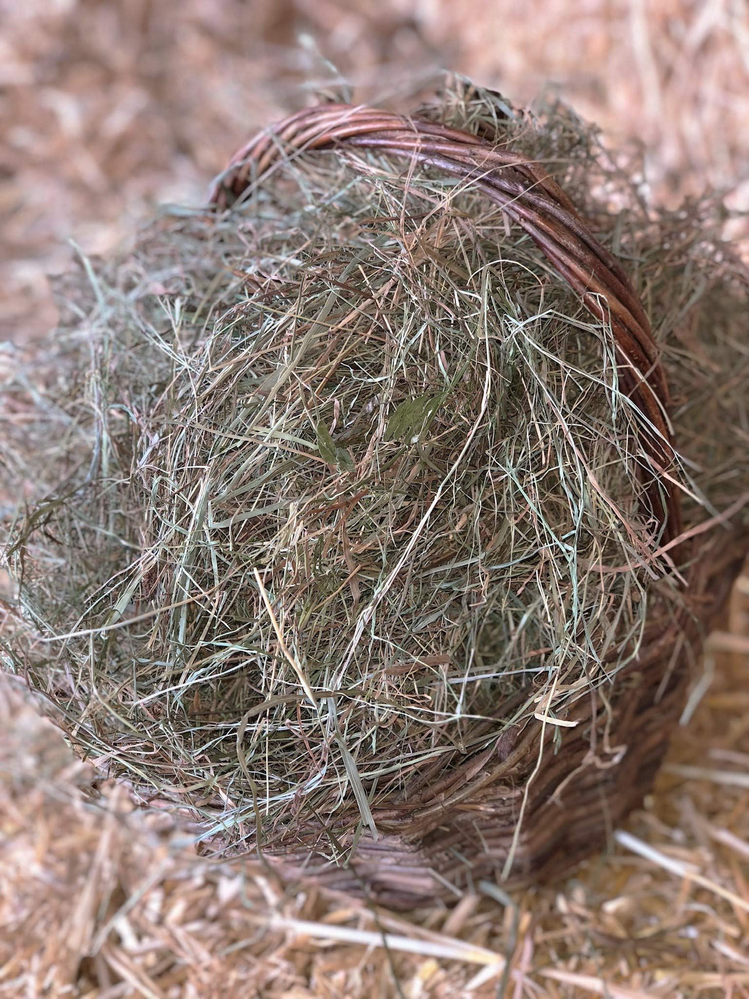 agrar-Store Heu 10kg Heuballen Wiesenheu 1.Schnitt Kaninchenheu ...