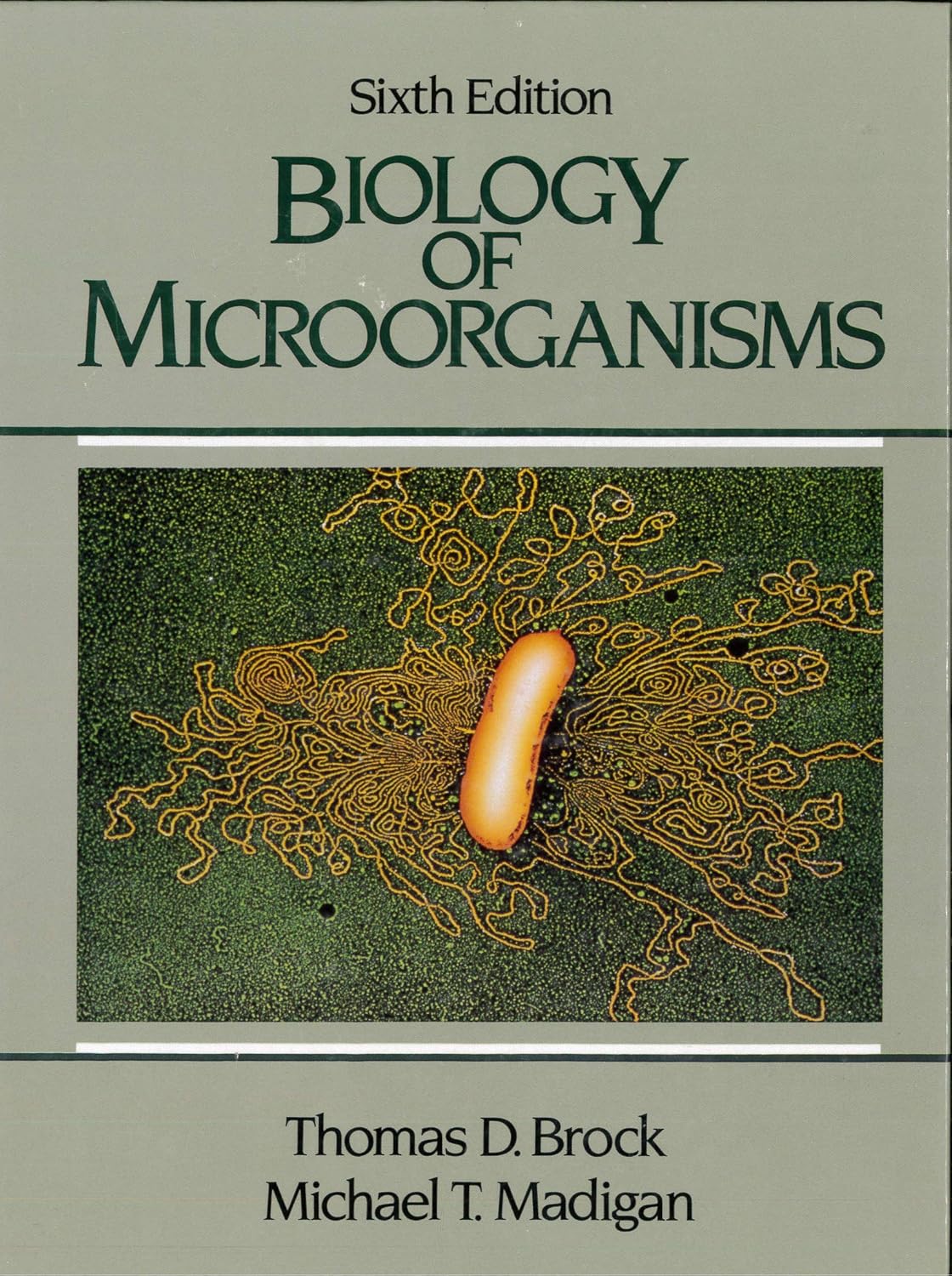 Buy Biology of Microorganisms Book Online at Low Prices in India ...
