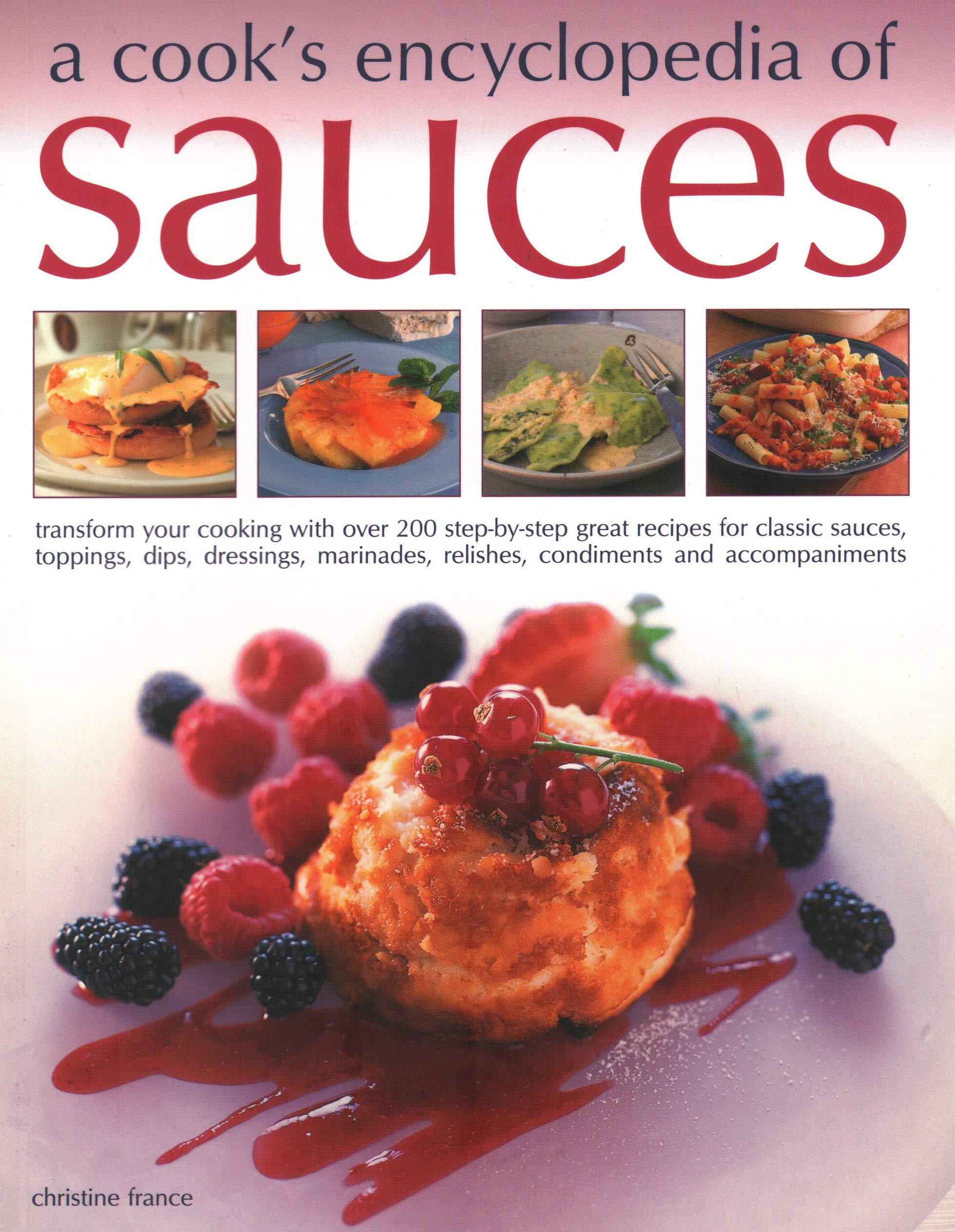 A Cook's Encyclopedia of Sauces: Transform Your Cooking with Over 175 ...