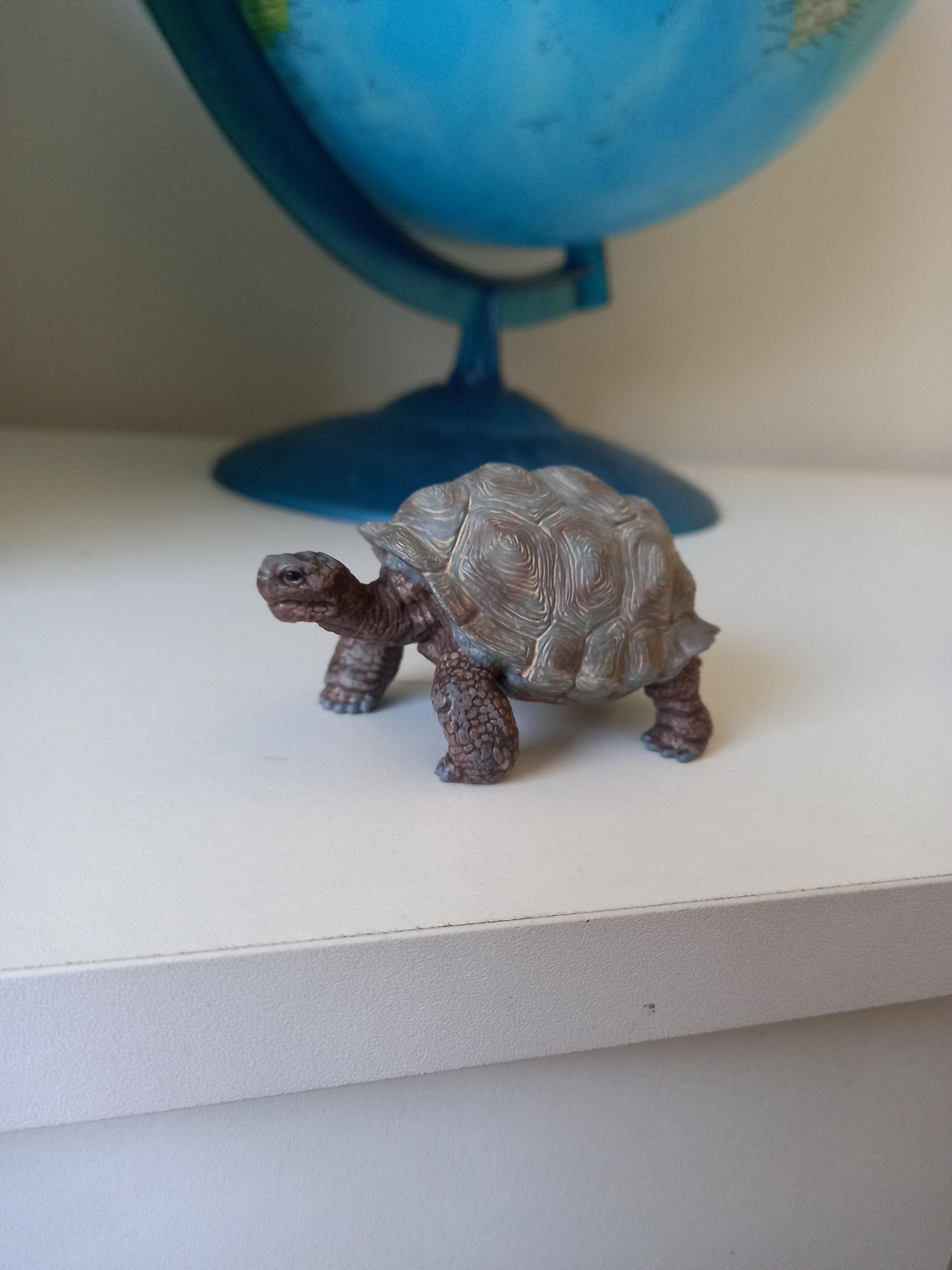 Schleich - Giant Tortoise : Amazon.com.au: Toys & Games