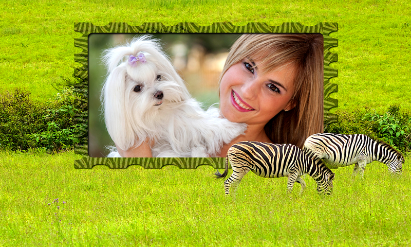 Animal Photo Frames:Amazon.com:Appstore for Android