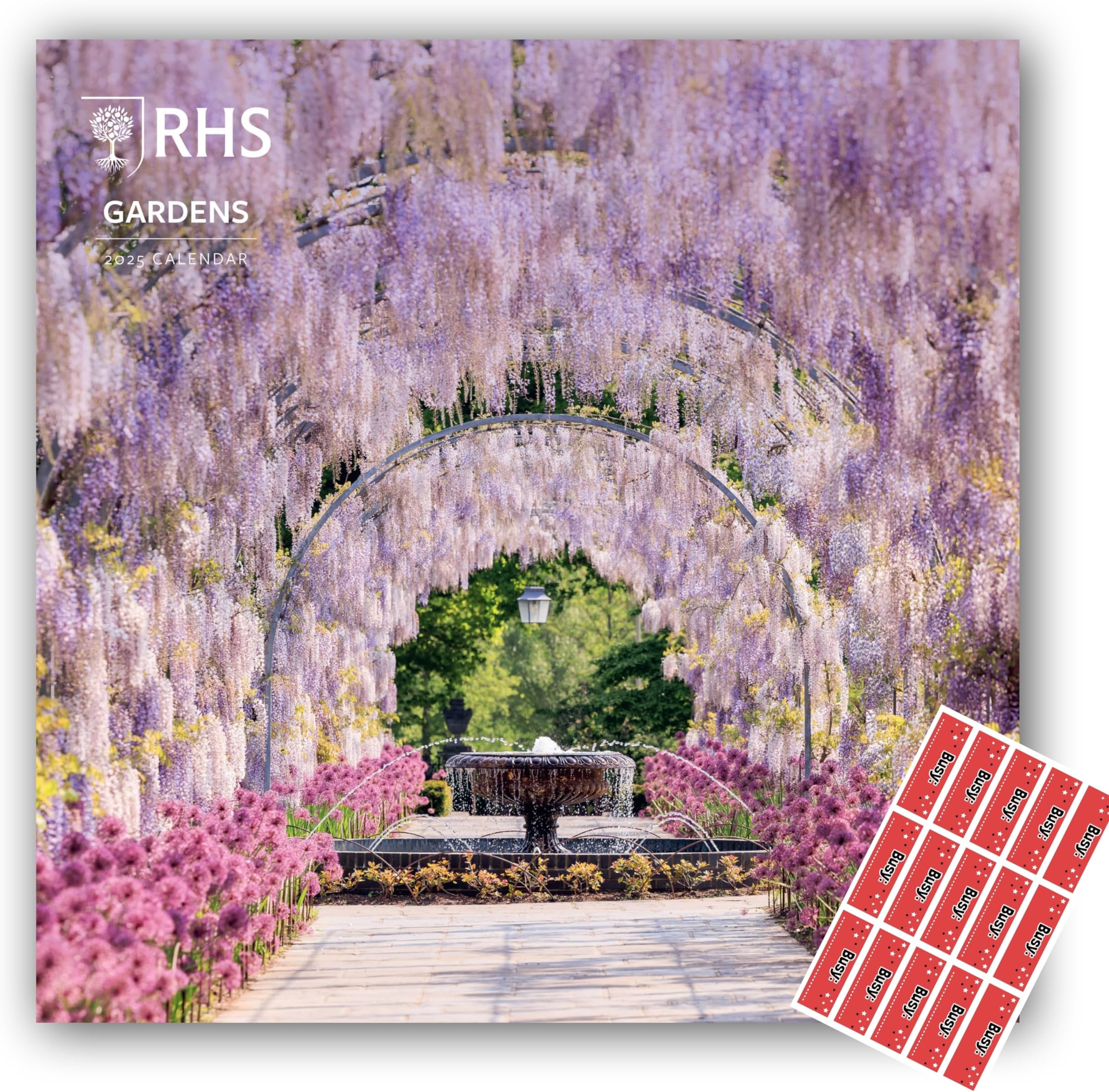 Grupo Erik Wall Calendar 2025 - Flowers | 12" x 12" Square Calendar ...