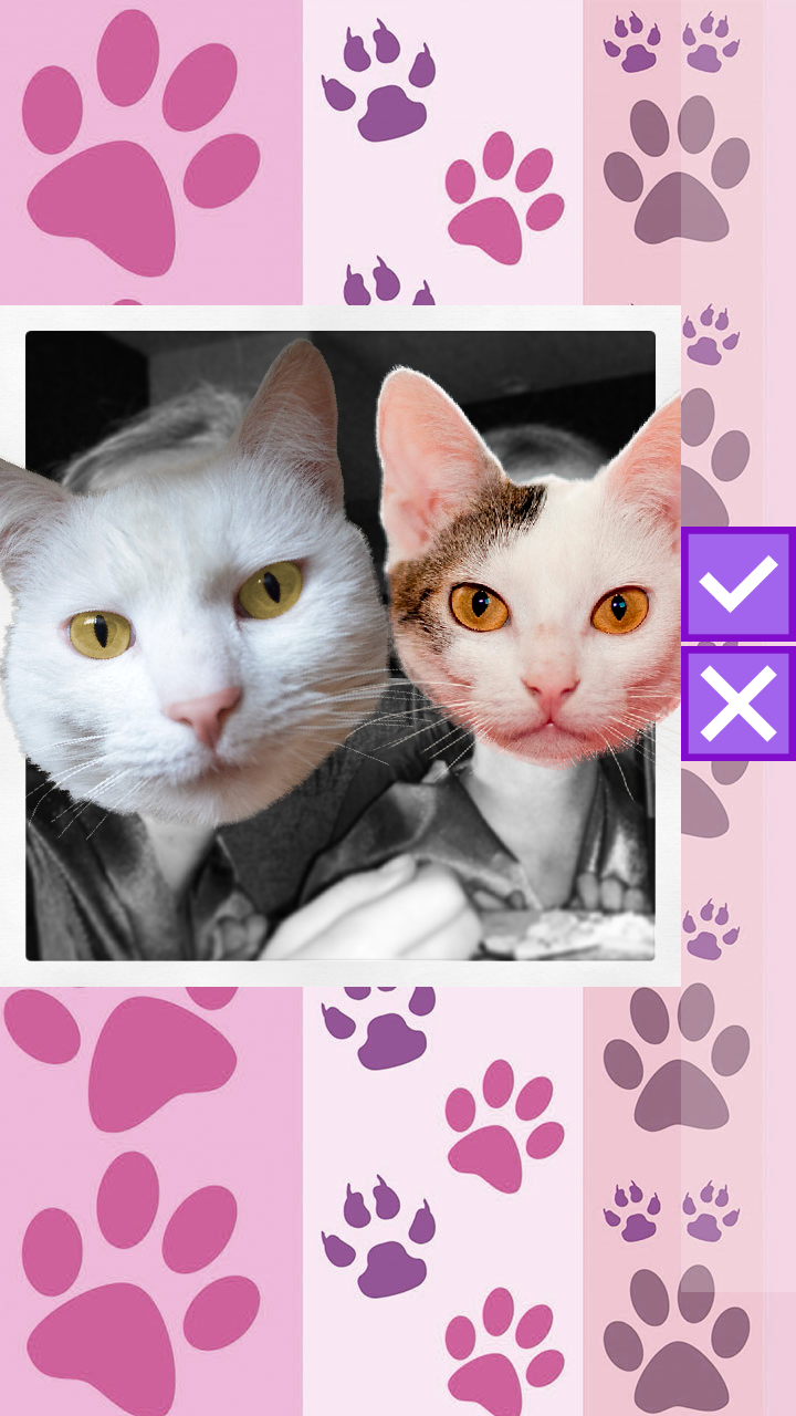 Cat Head Photo Booth - App on Amazon Appstore