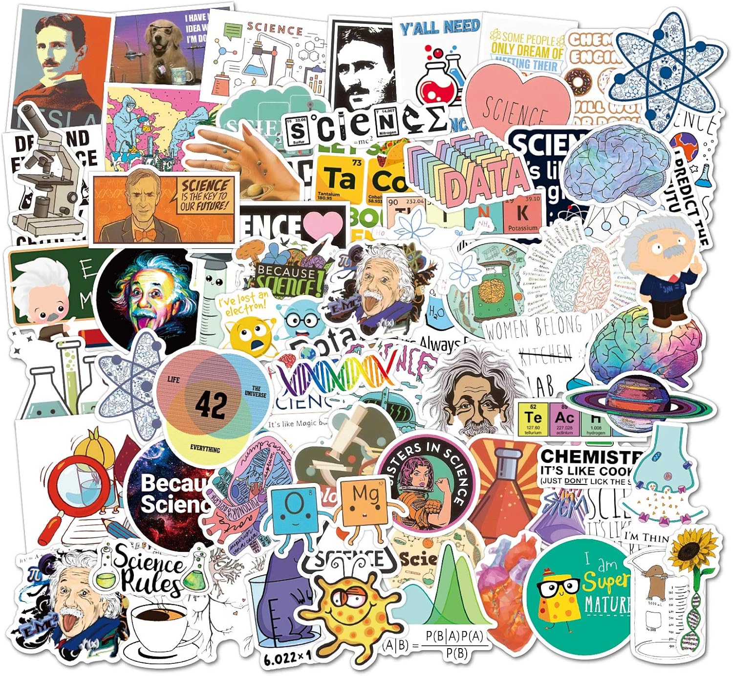 Amazon.com: Science Experiment Stickers 100PCS Funny Chemistry Physics ...