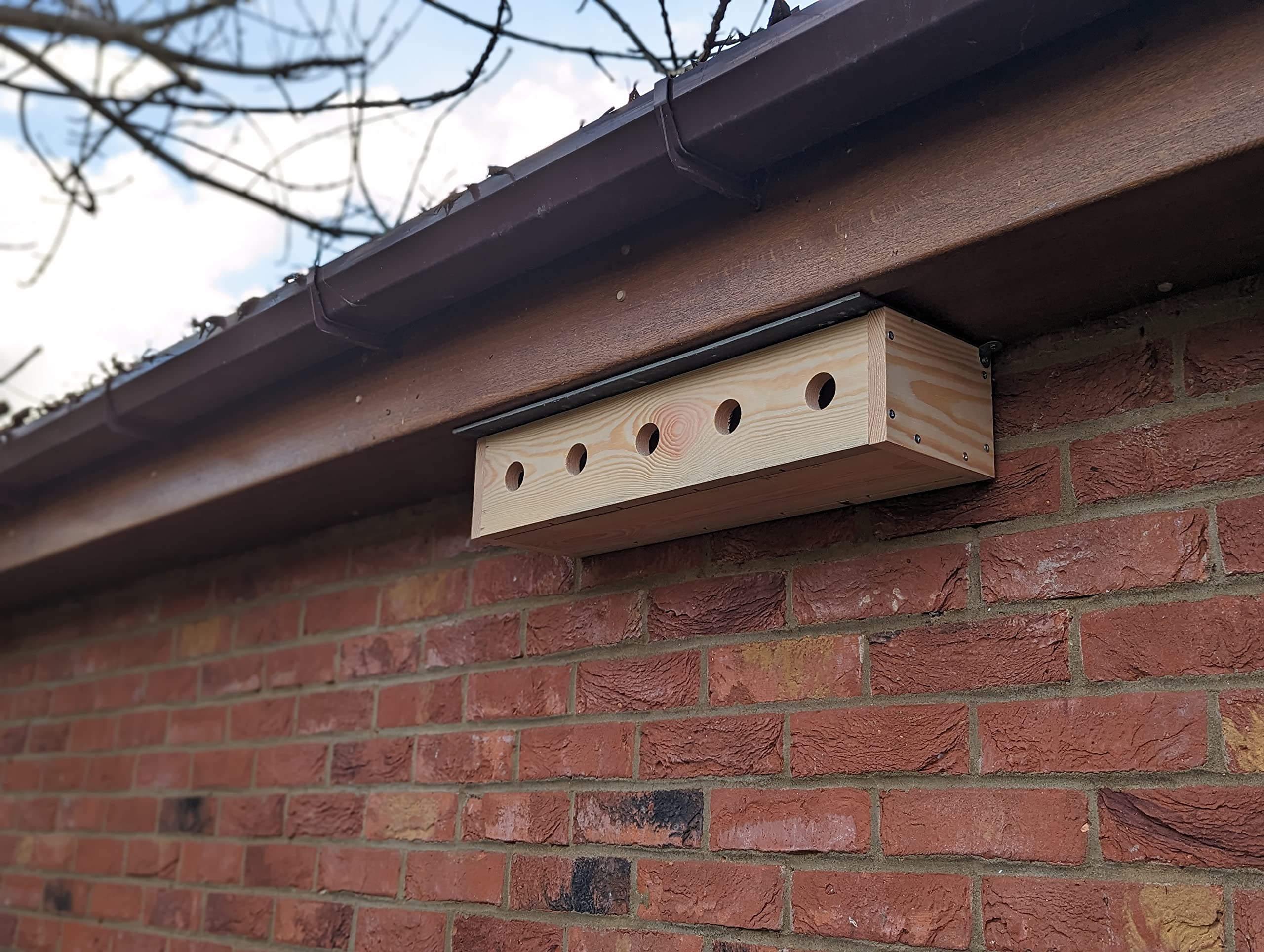 Sparrow Colony Nesting Box with SIG® Slate Roof : Amazon.co.uk: DIY & Tools