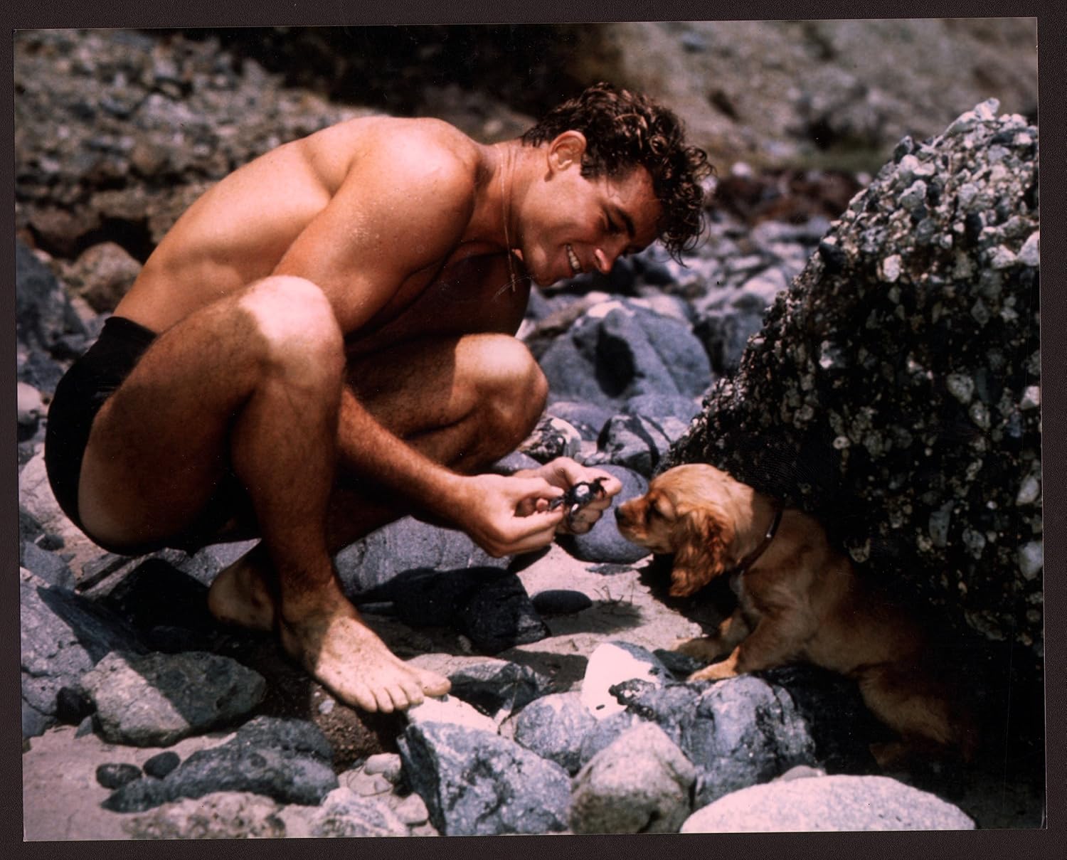 MOVIE PHOTO: Guy Madison 8x10 color photo at Amazon's Entertainment ...