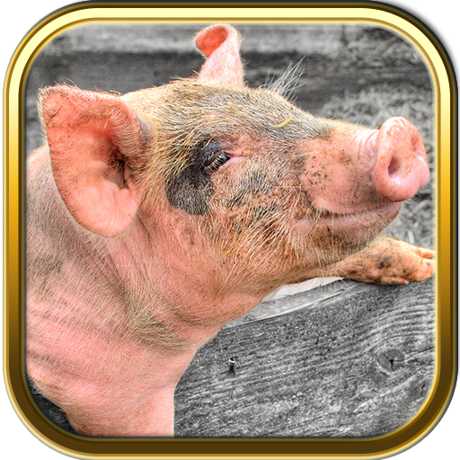 Pig Jigsaw Puzzle Games - App on Amazon Appstore