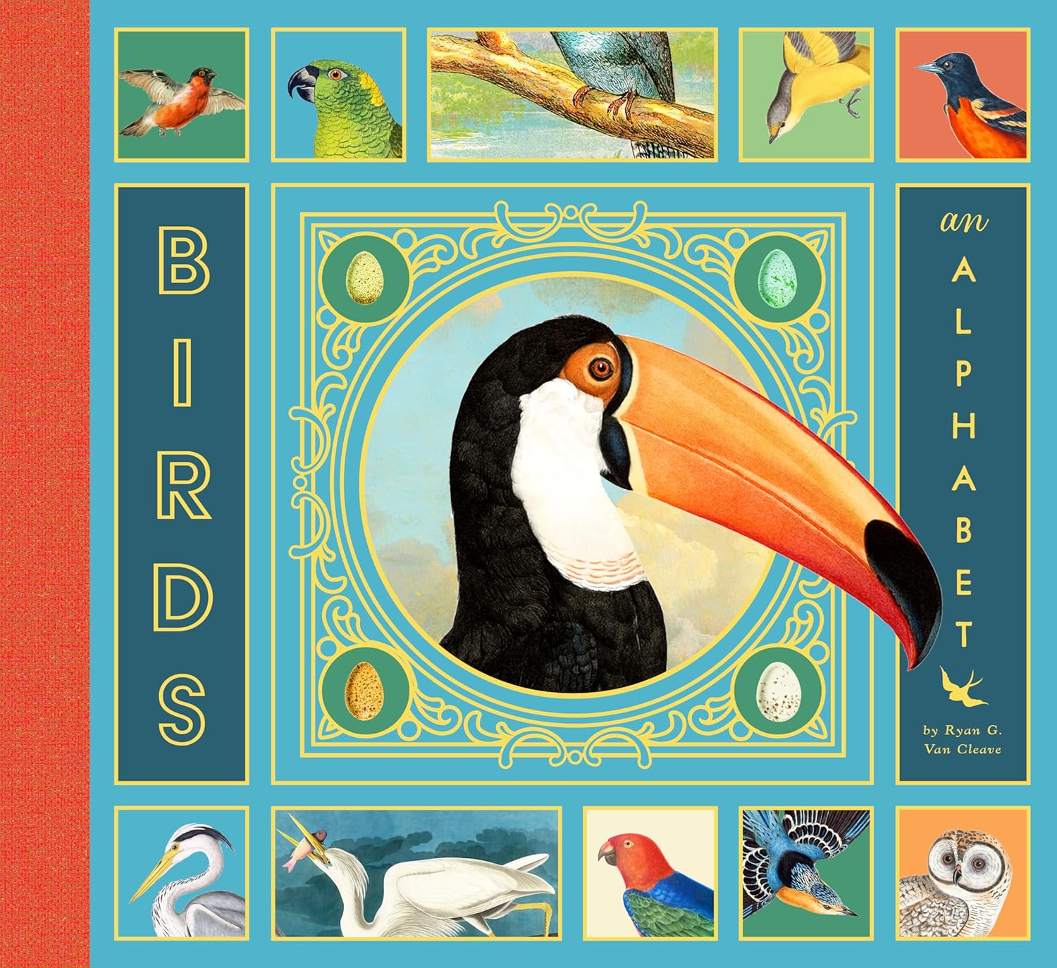 Birds: An Alphabet: Van Cleave, Ryan G.: 9781638193050: Amazon.com: Books