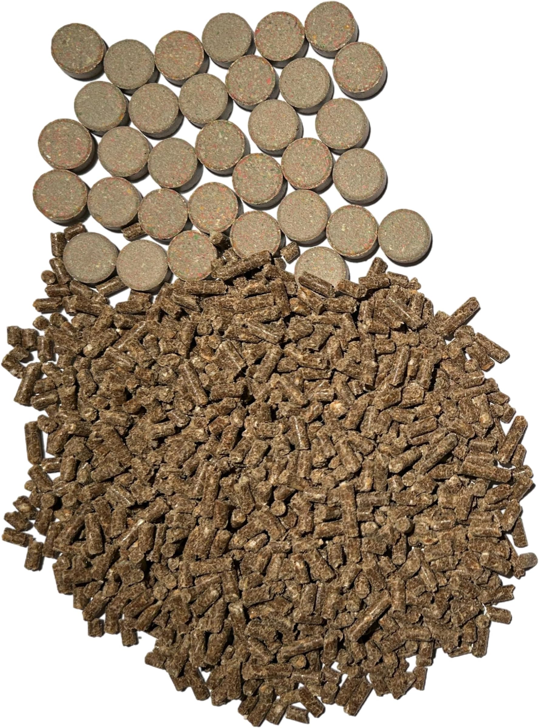 Freeze Dried Bloodworm Pellets 70g and Bloodworm Stick on Glass Tablets ...