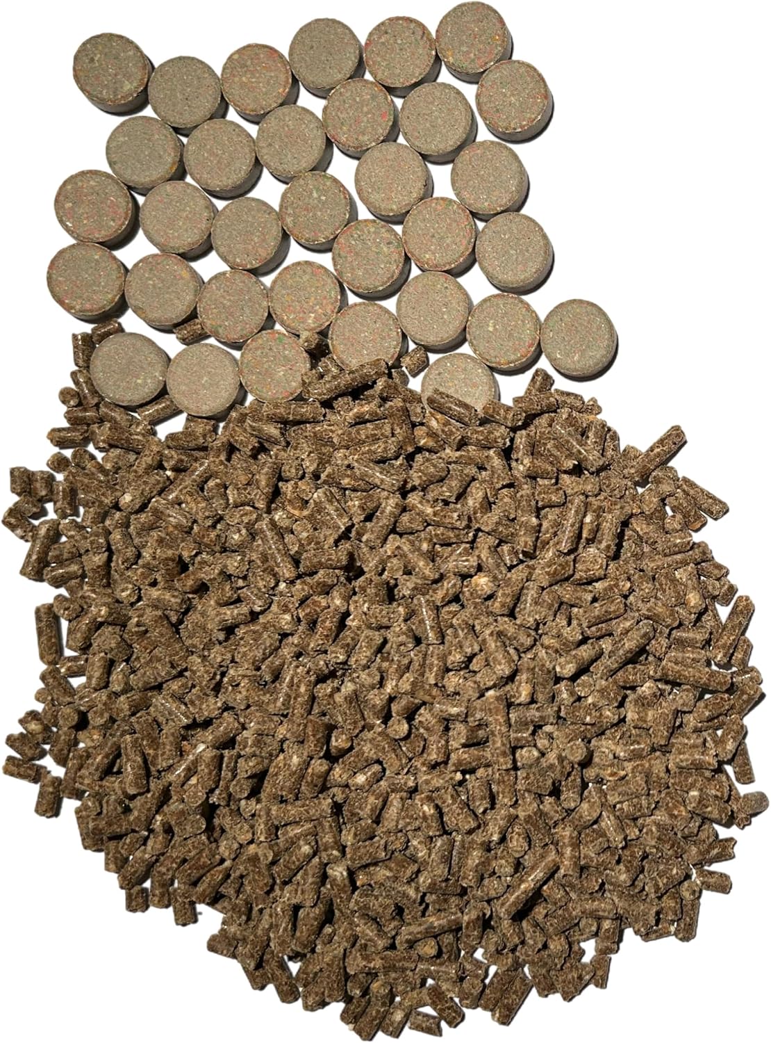 Freeze Dried Bloodworm Pellets 70g and Bloodworm Stick on Glass Tablets ...