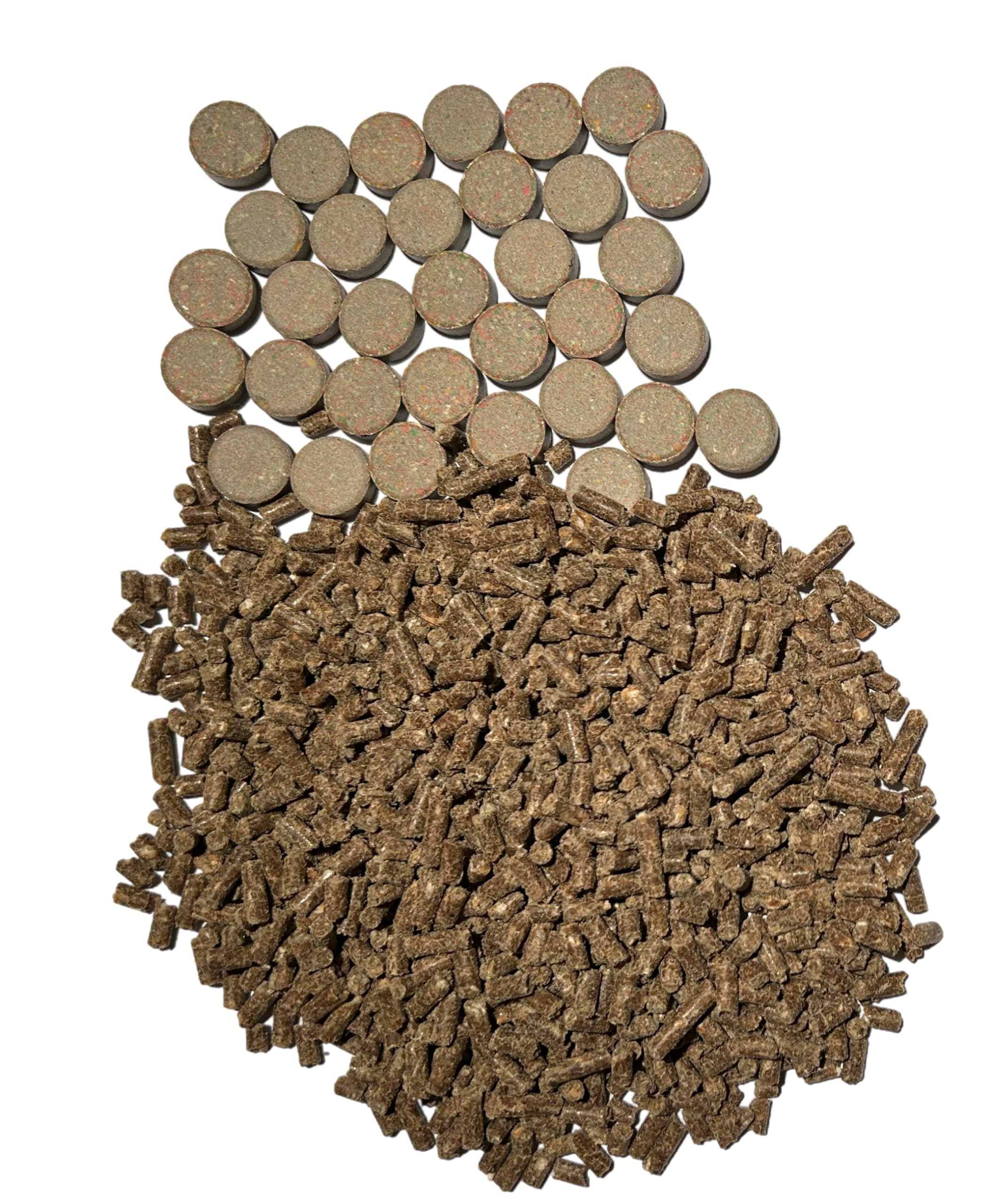 Freeze Dried Bloodworm Pellets 70g and Bloodworm Stick on Glass Tablets ...