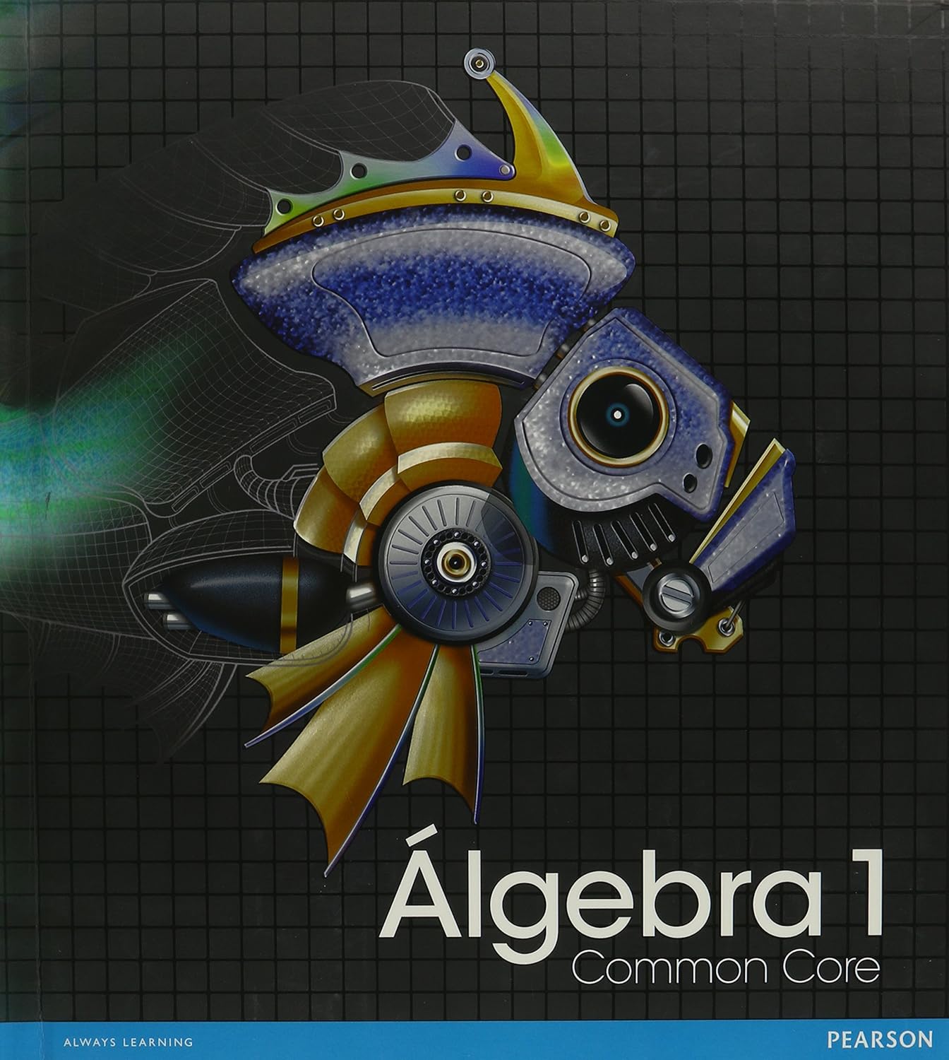 HIGH SCHOOL MATH COMMON CORE VERSION SPANISH ALGEBRA 1 STUDENT EDITION ...