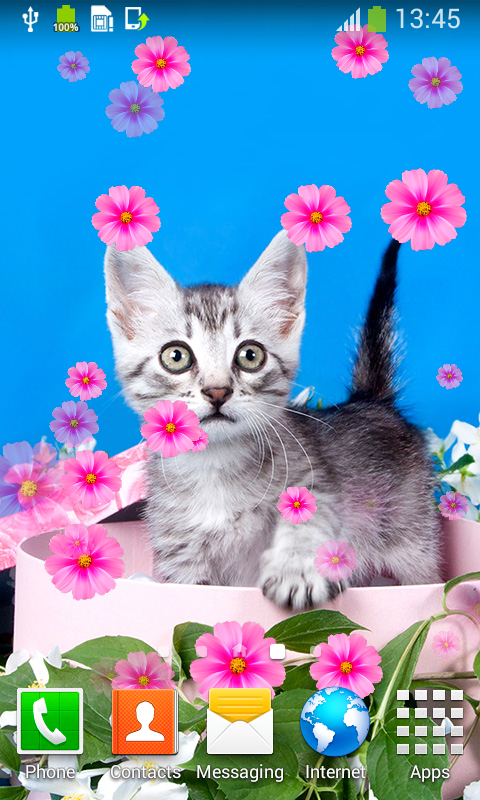 Cute Animals Live Wallpapers:Amazon.com:Appstore for Android