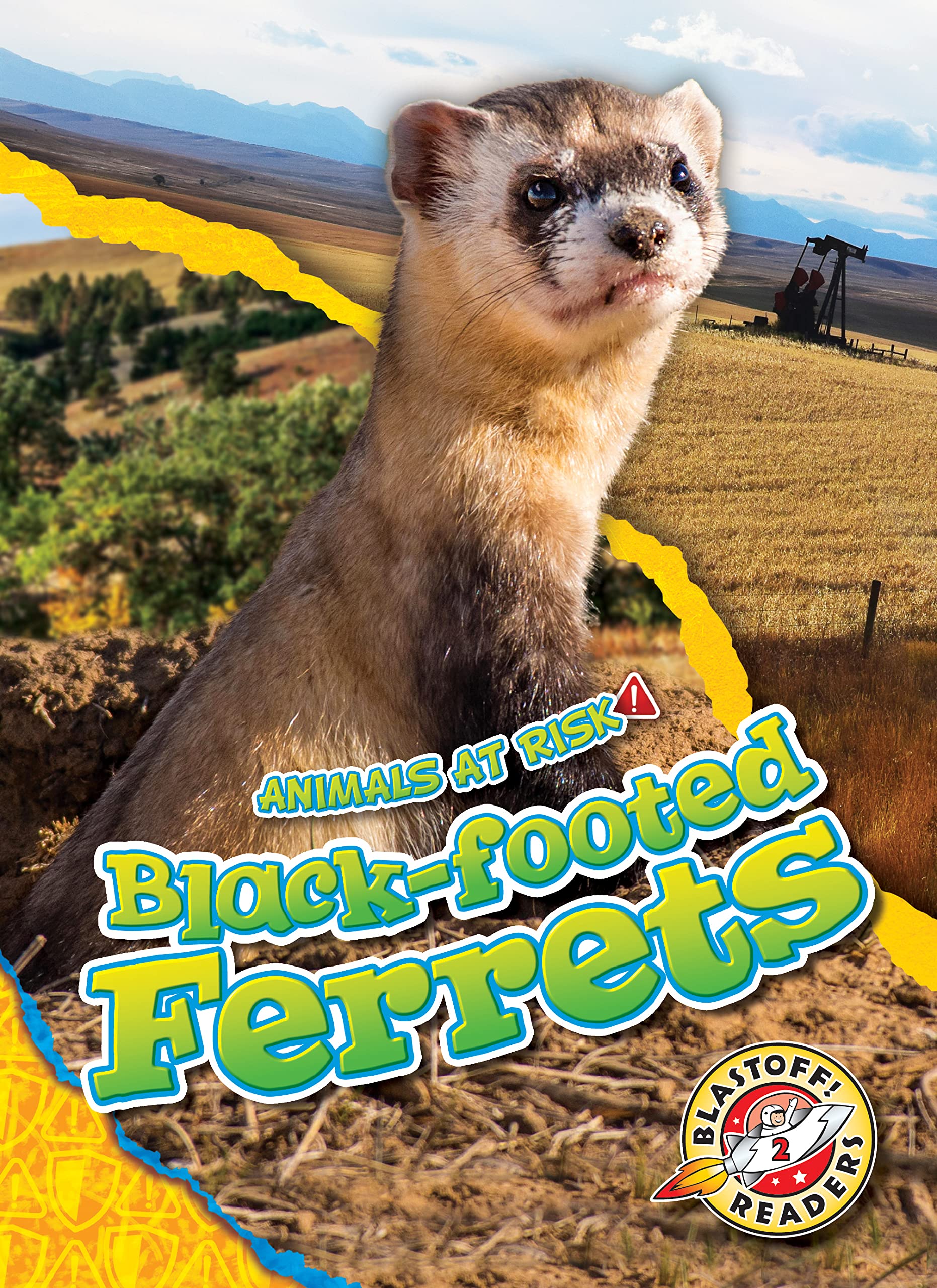 Black-footed Ferrets (Animals At Risk!: Blastoff Readers, Level 2 ...