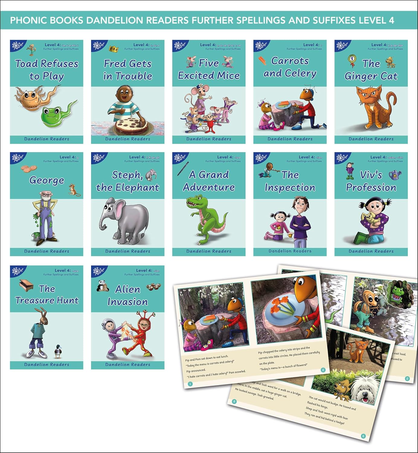 Phonic Books Dandelion Readers: Further Spellings and Suffixes: Toad ...