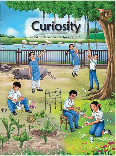 Amazon.in: Eligible For Pay On Delivery - NCERT Bookstore: Books