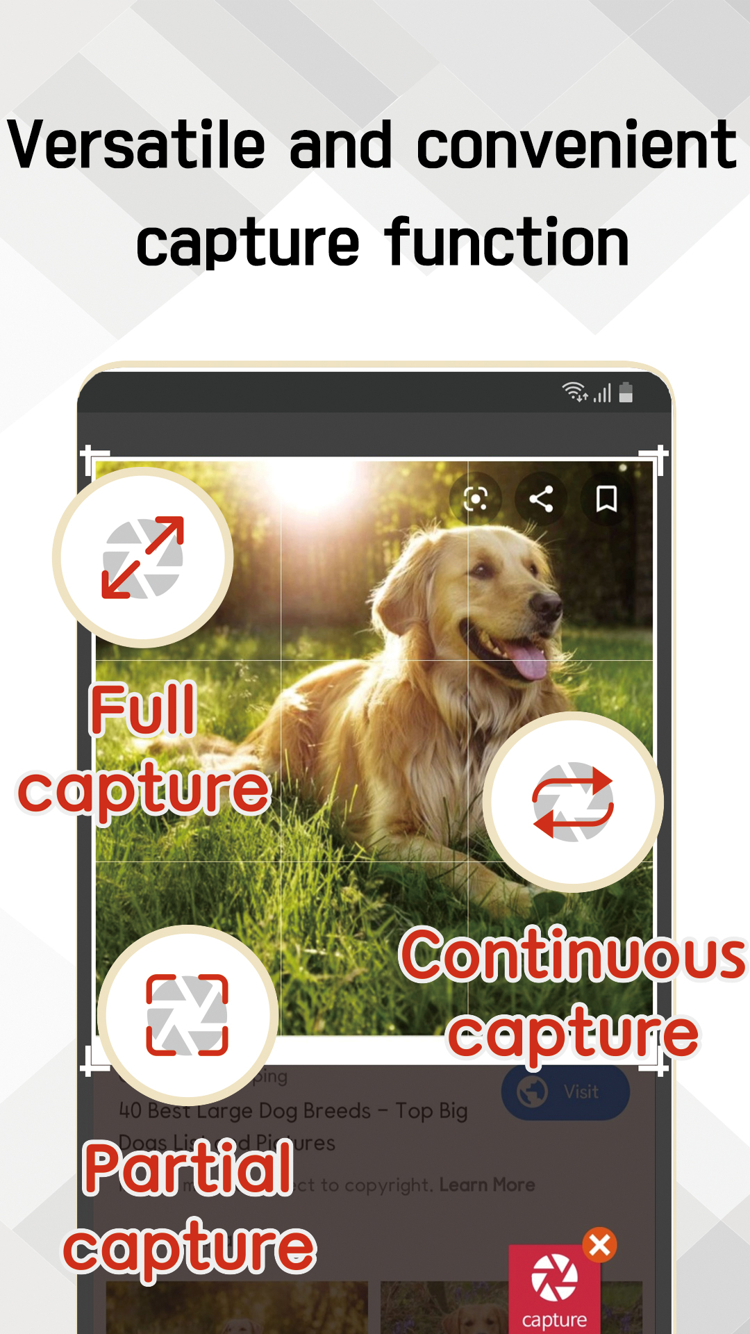 Stargon Browser - App on Amazon Appstore