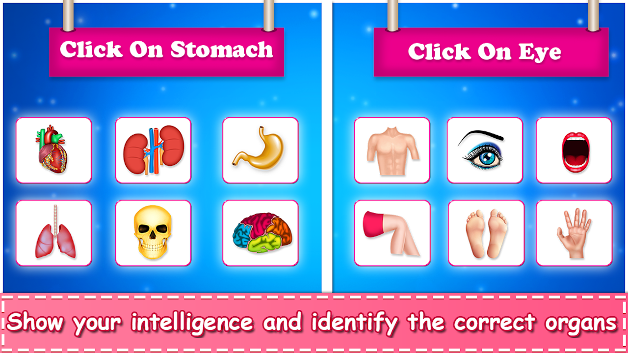 Human Body Parts For Kids - App on Amazon Appstore
