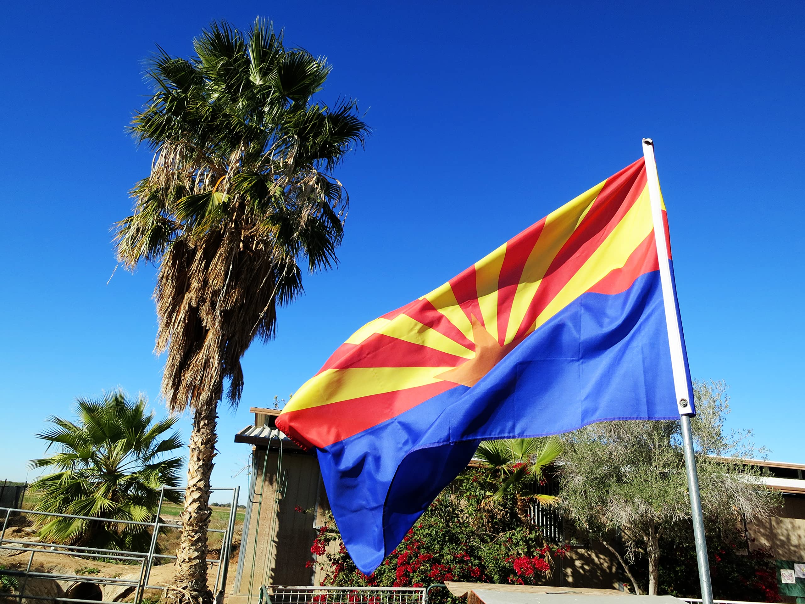 Viendo Las Banderas De Arizona