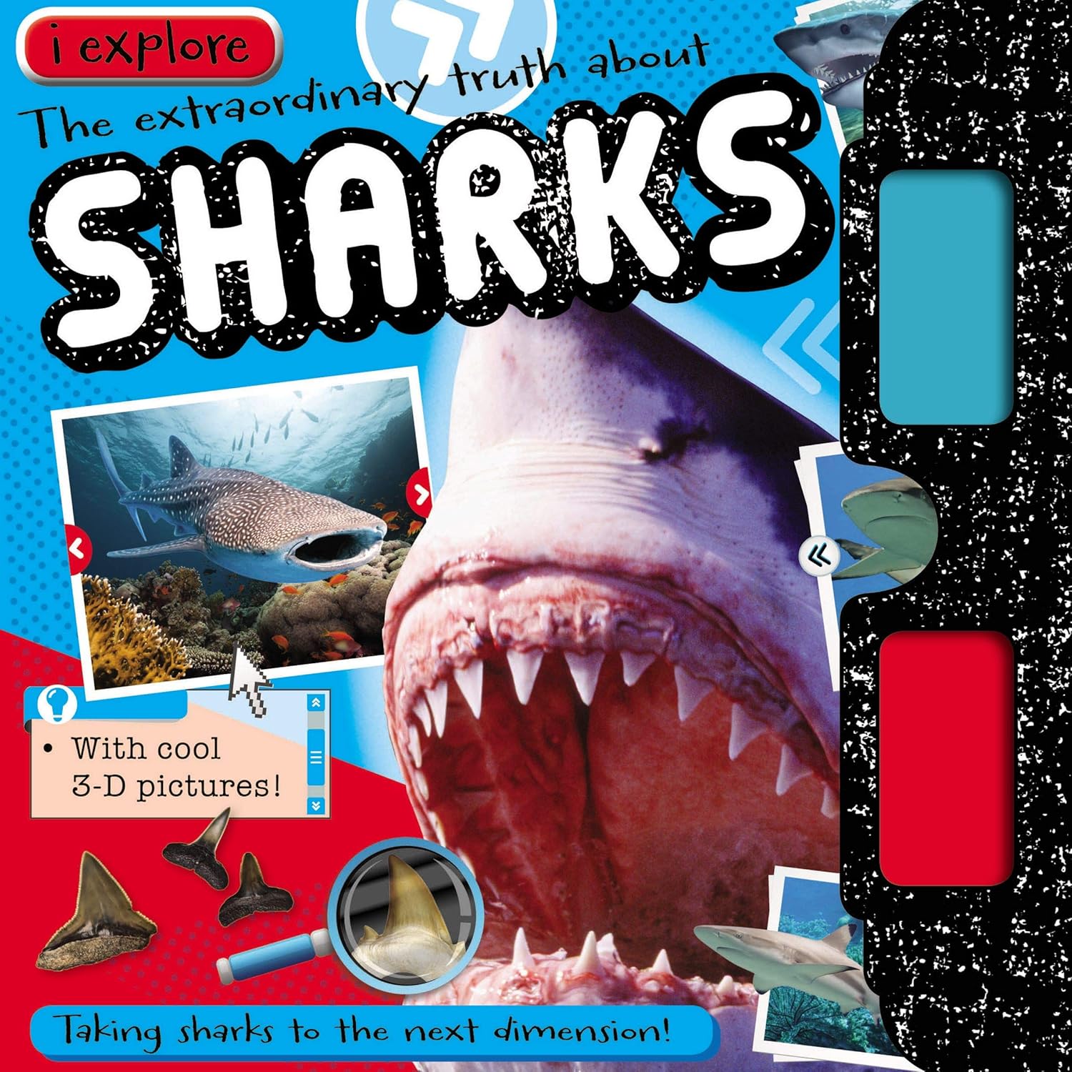 iExplore Sharks: Down, Hayley: 9781780655963: Amazon.com: Books