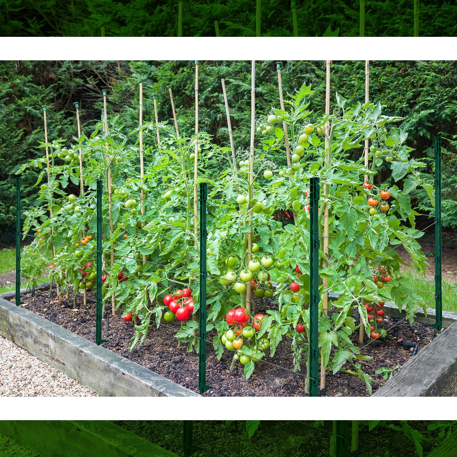 Snapklik.com : Sintuff 50 Pack Electric Fence Posts, 40 Inch Plastic ...